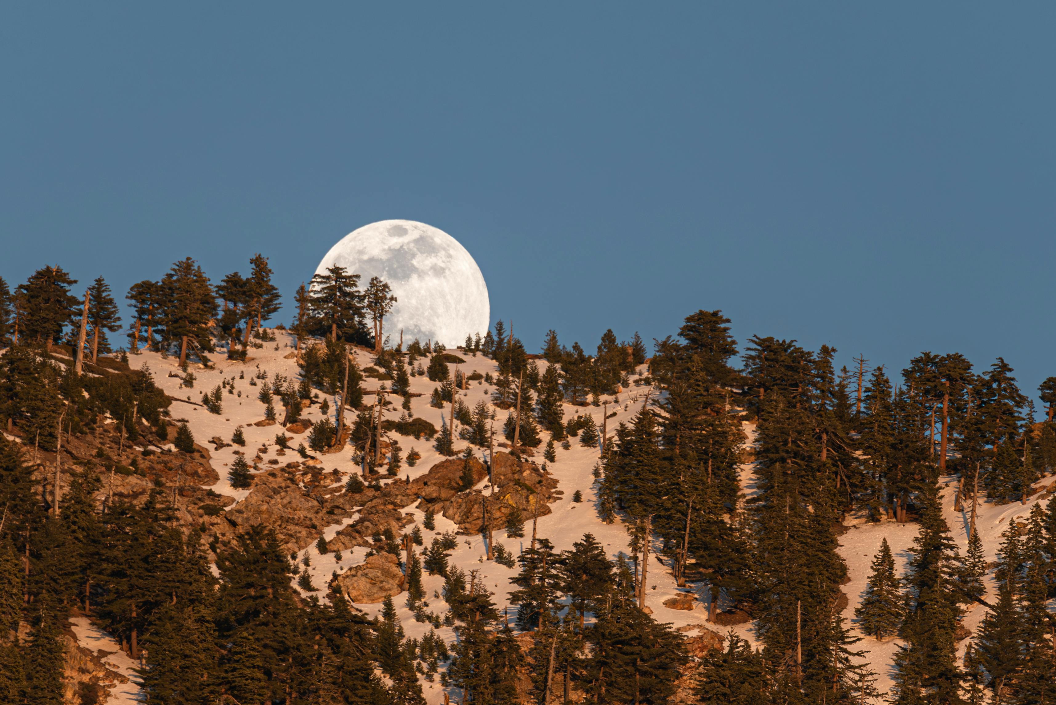 Moon Rising over a Hill · Free Stock Photo