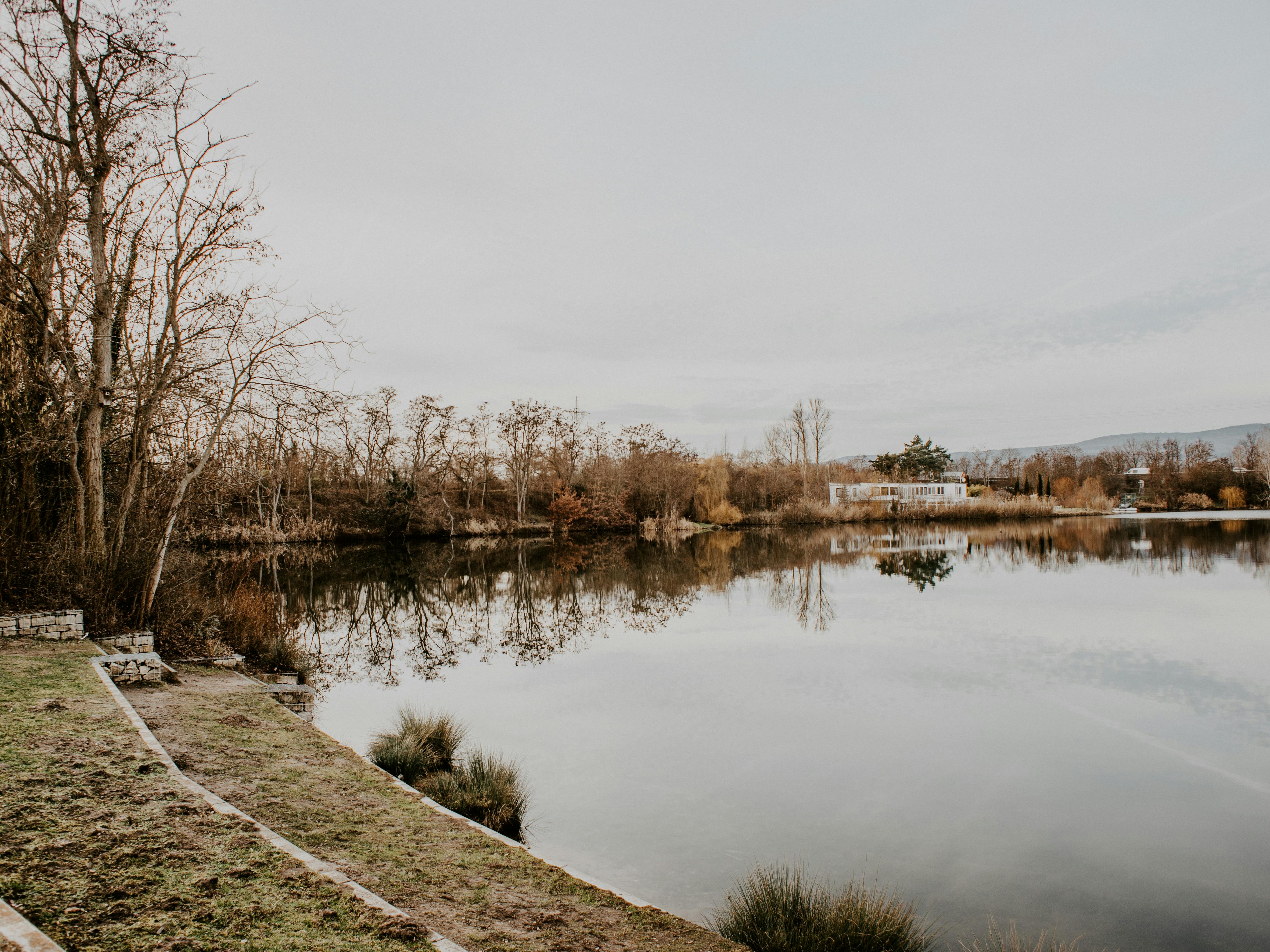 Río tranquilo · Foto de Stock Gratis