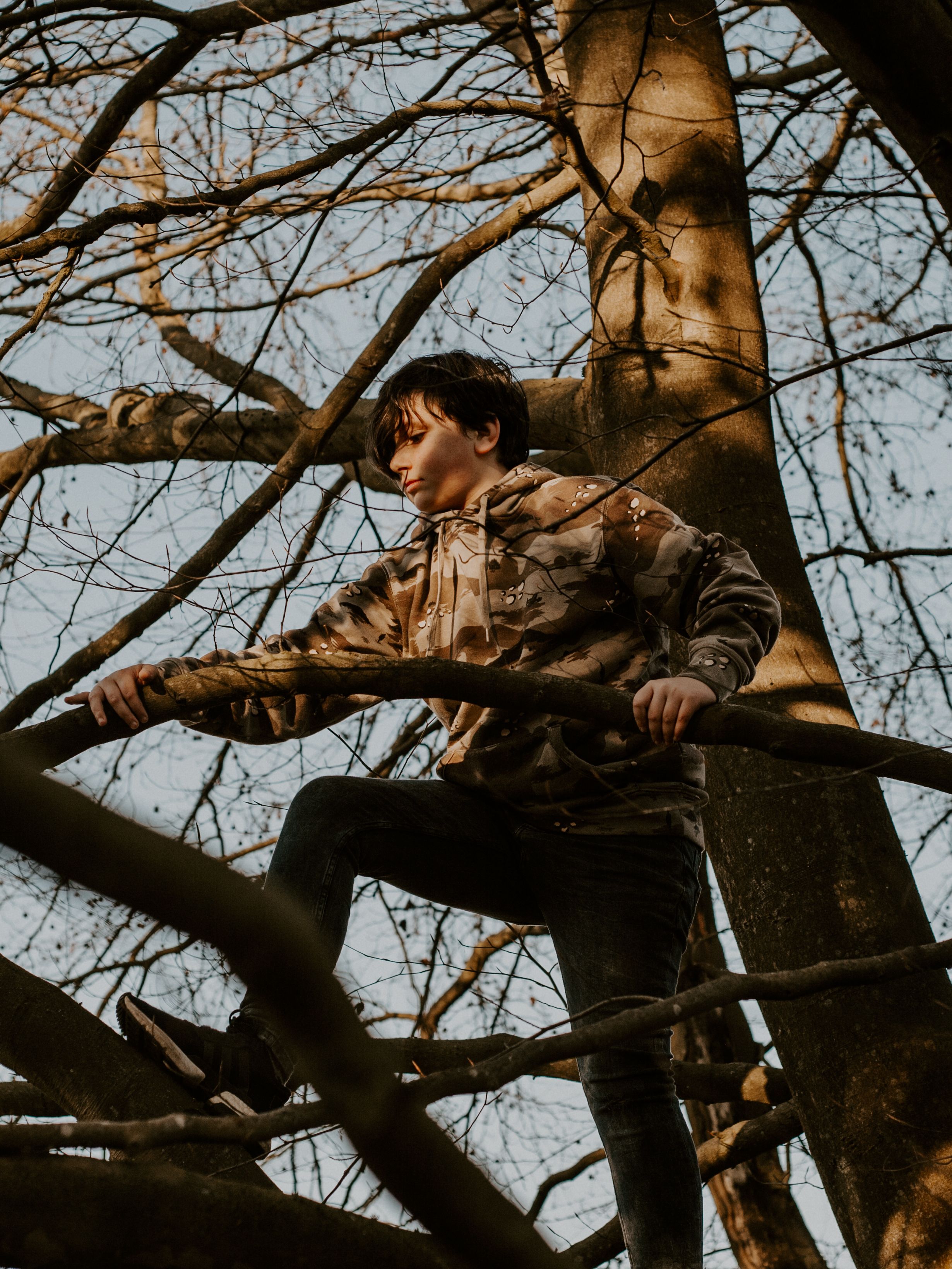 Boy Sitting On Tree · Free Stock Photo