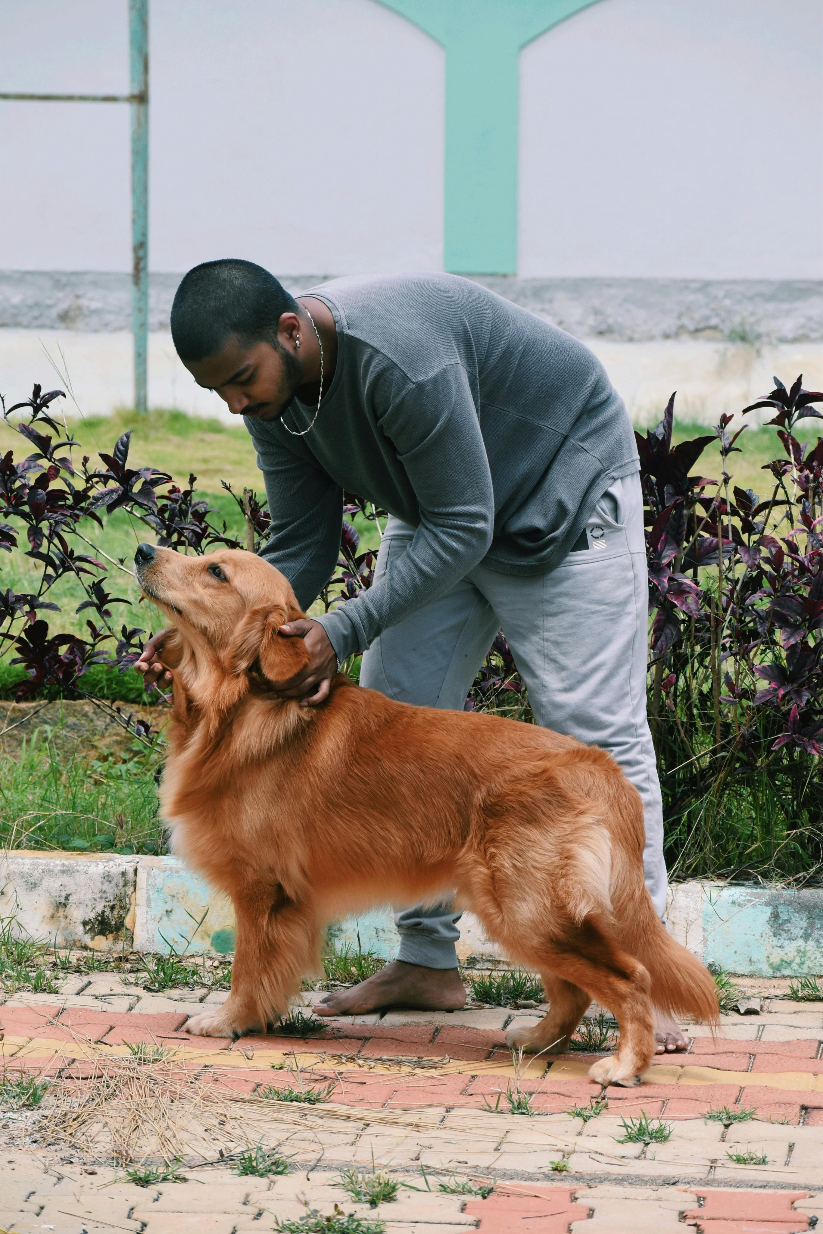 Man Standing and Patting Dog · Free Stock Photo