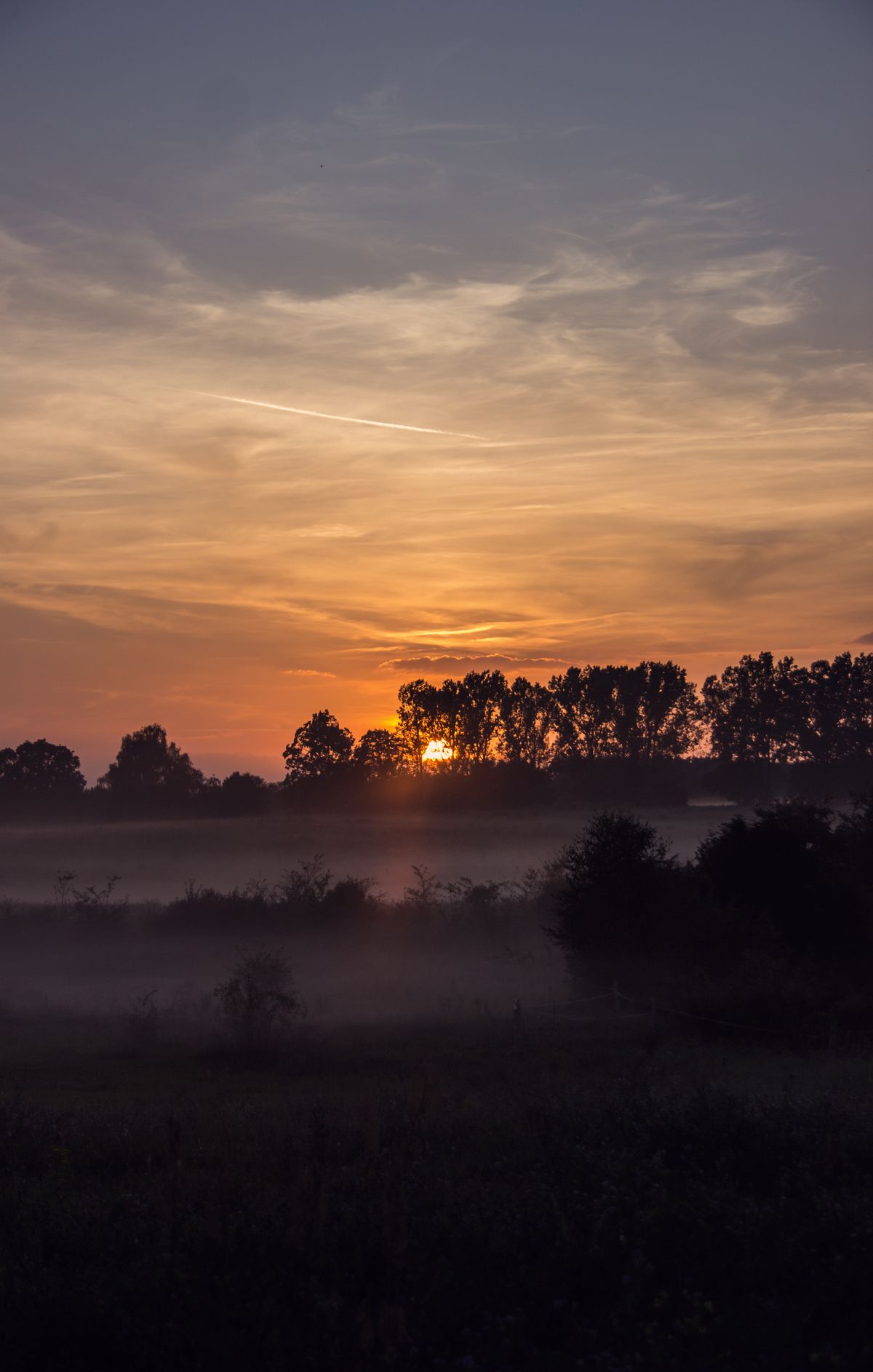 Morning Sun Photos, Download The BEST Free Morning Sun Stock Photos ...