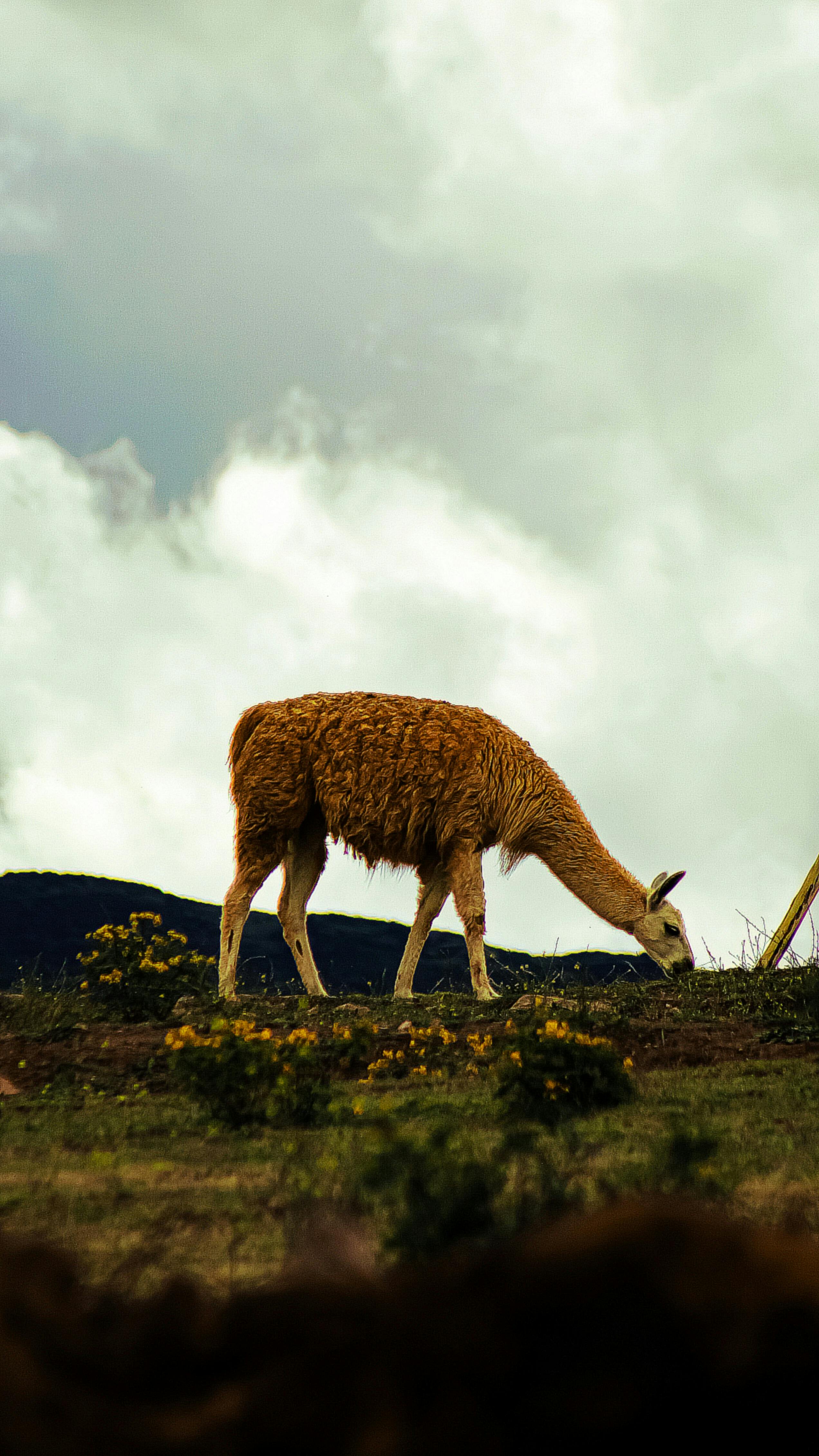 Lidia Sanchez Valenzuela - Fotografía