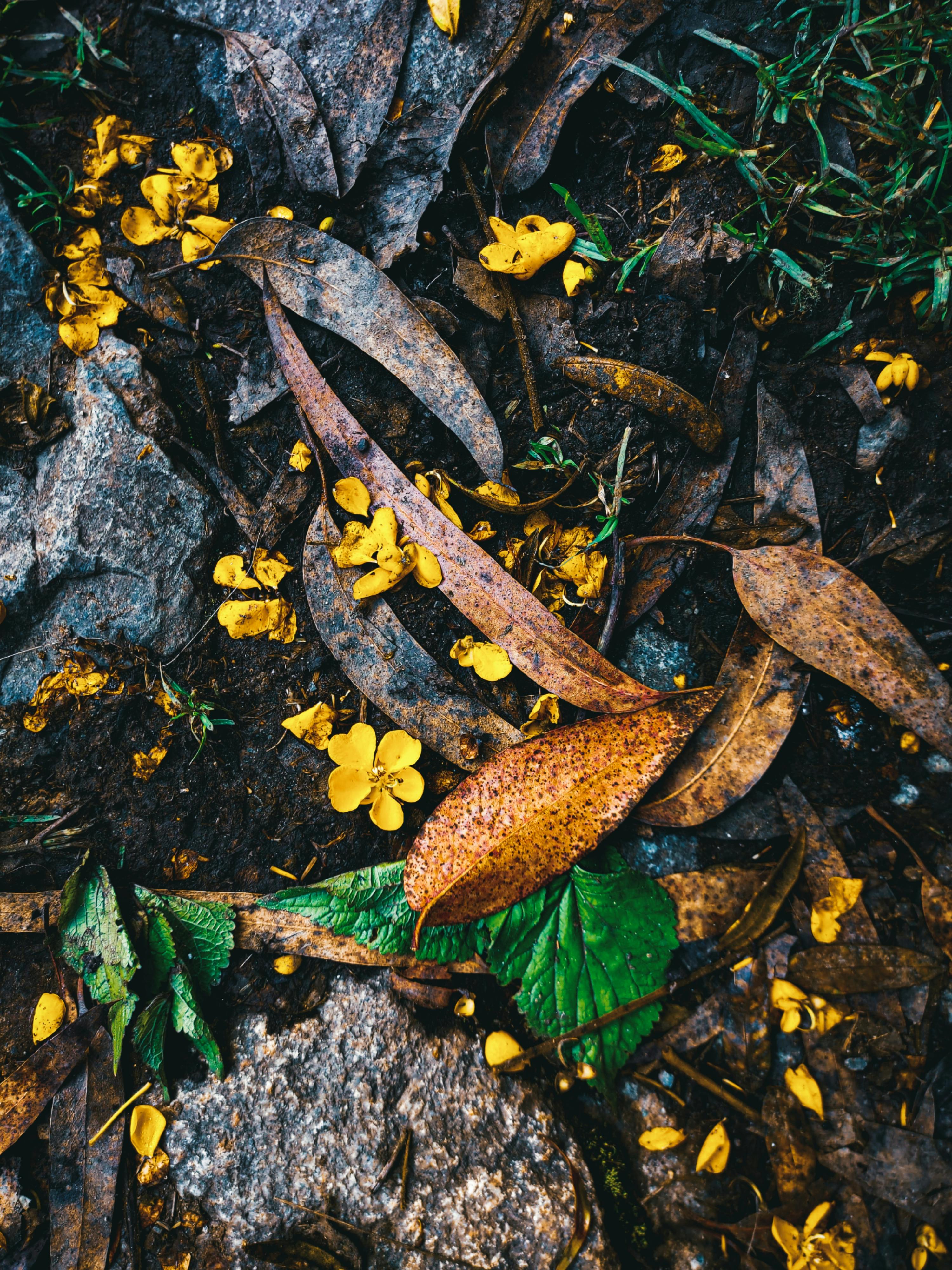 Lidia Sanchez Valenzuela - Fotografía