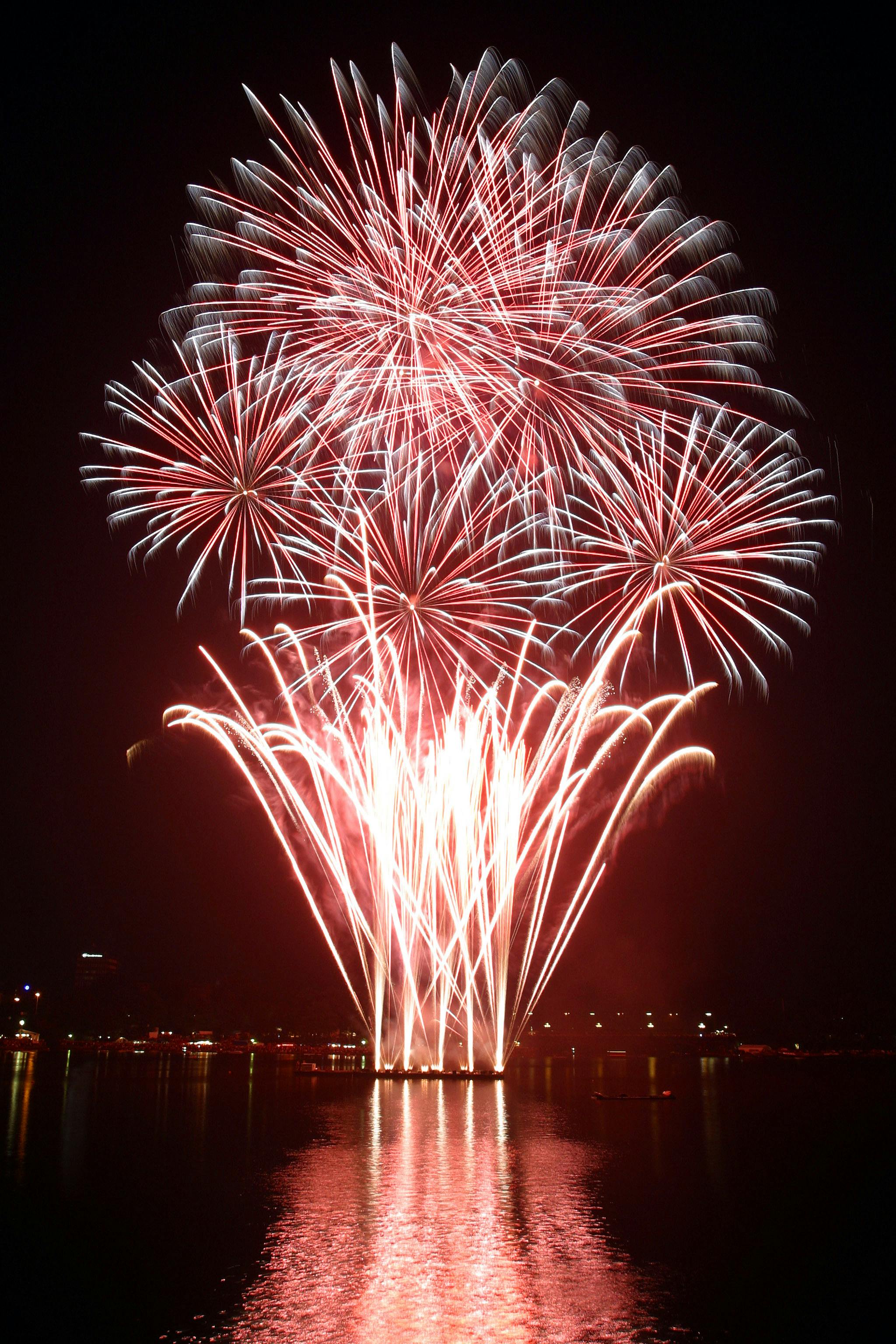 Free stock photo of firework