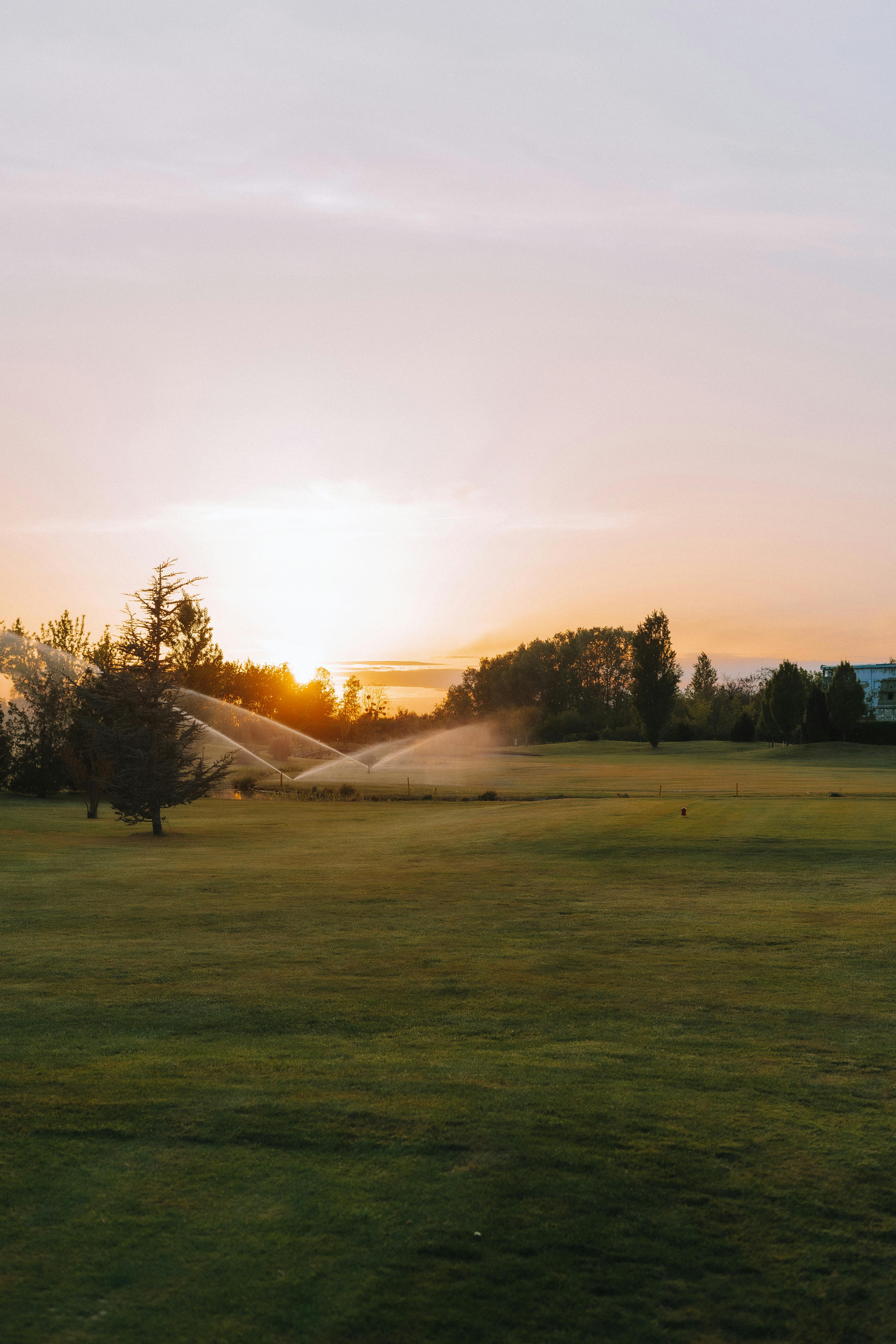 Large Grass Yard with Sprinklers and Trees at Sunset · Free Stock Photo