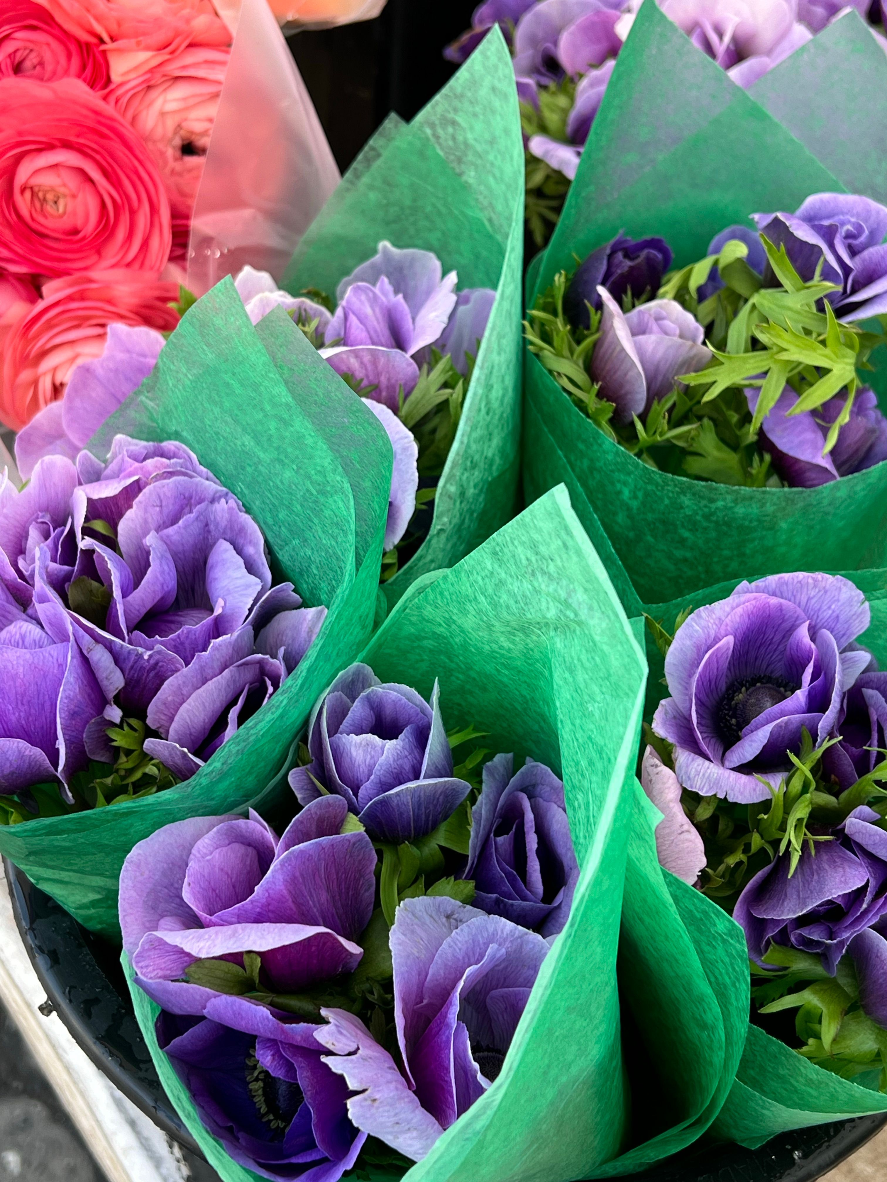 Close-up of Bunches of Purple Flowers Wrapped in a Green Paper · Free ...