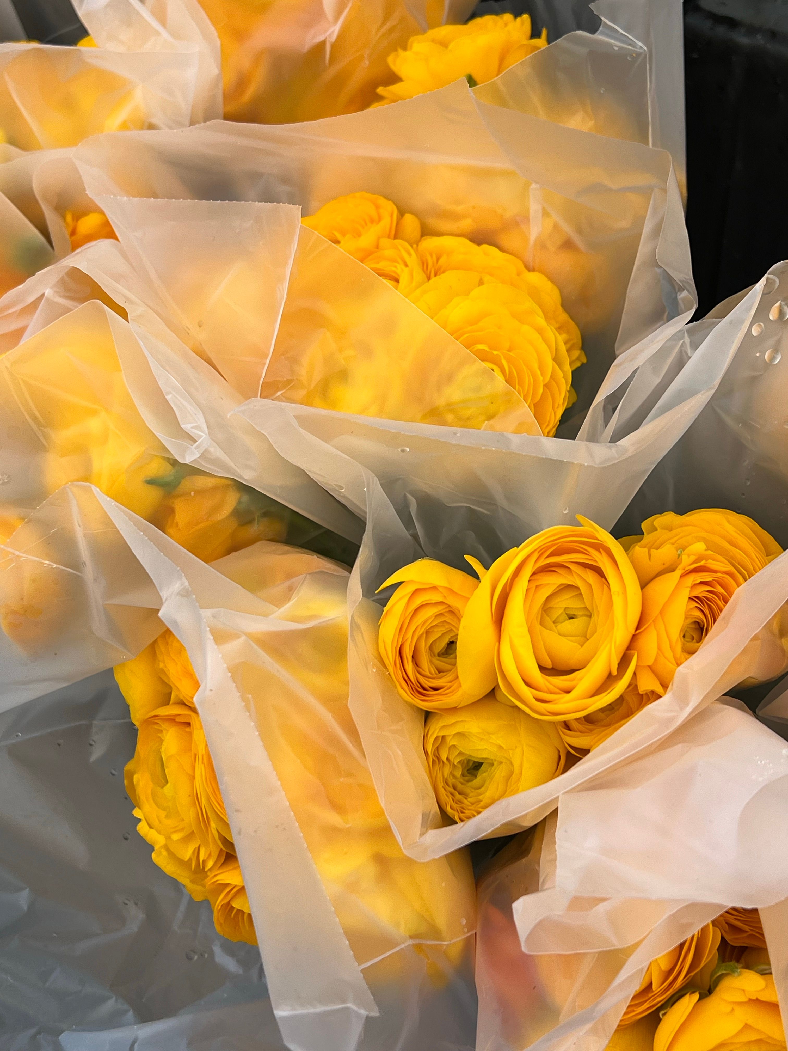 Flowers Yellow Photos, Download The BEST Free Flowers Yellow Stock ...