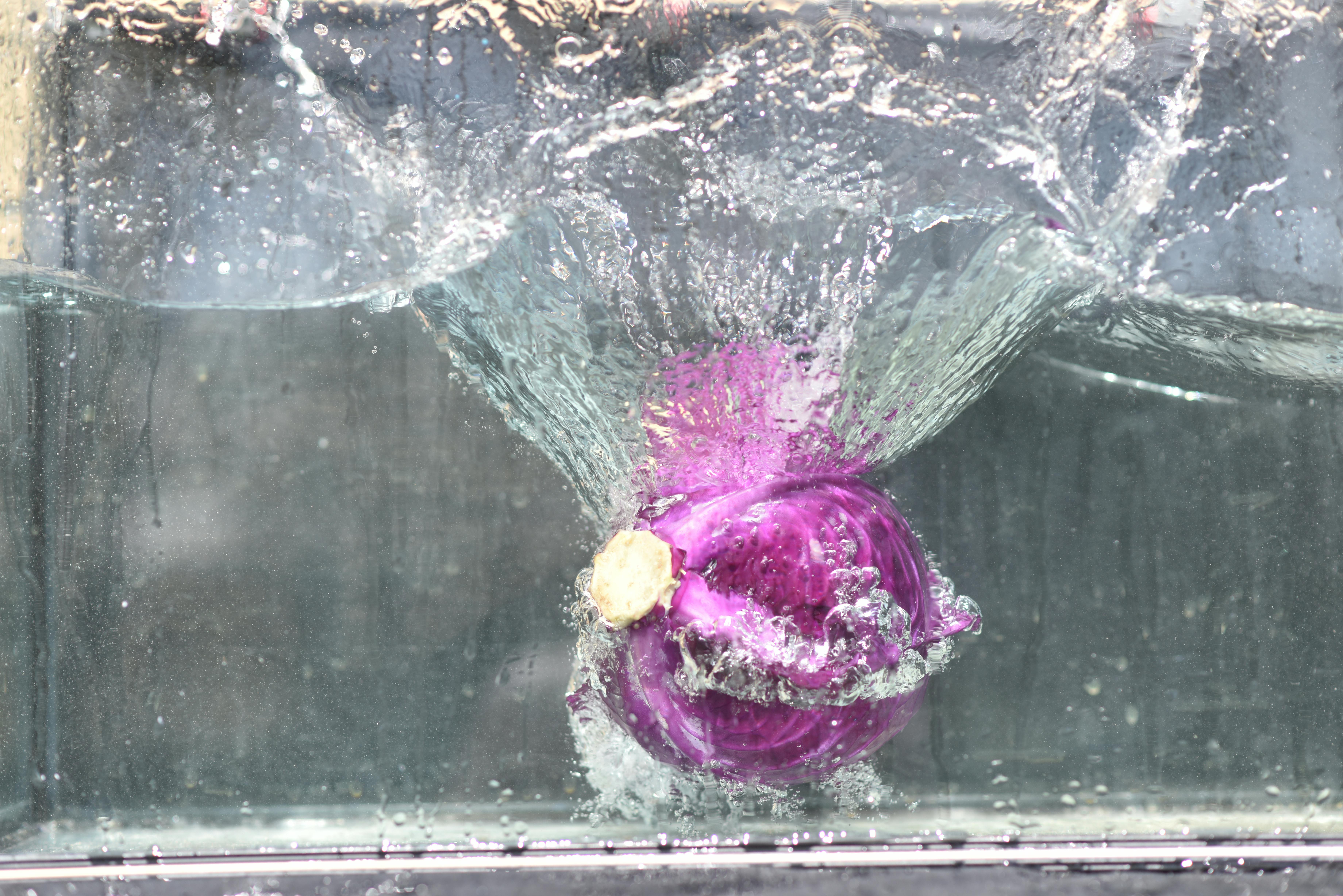 Tayla Gray - fotografia