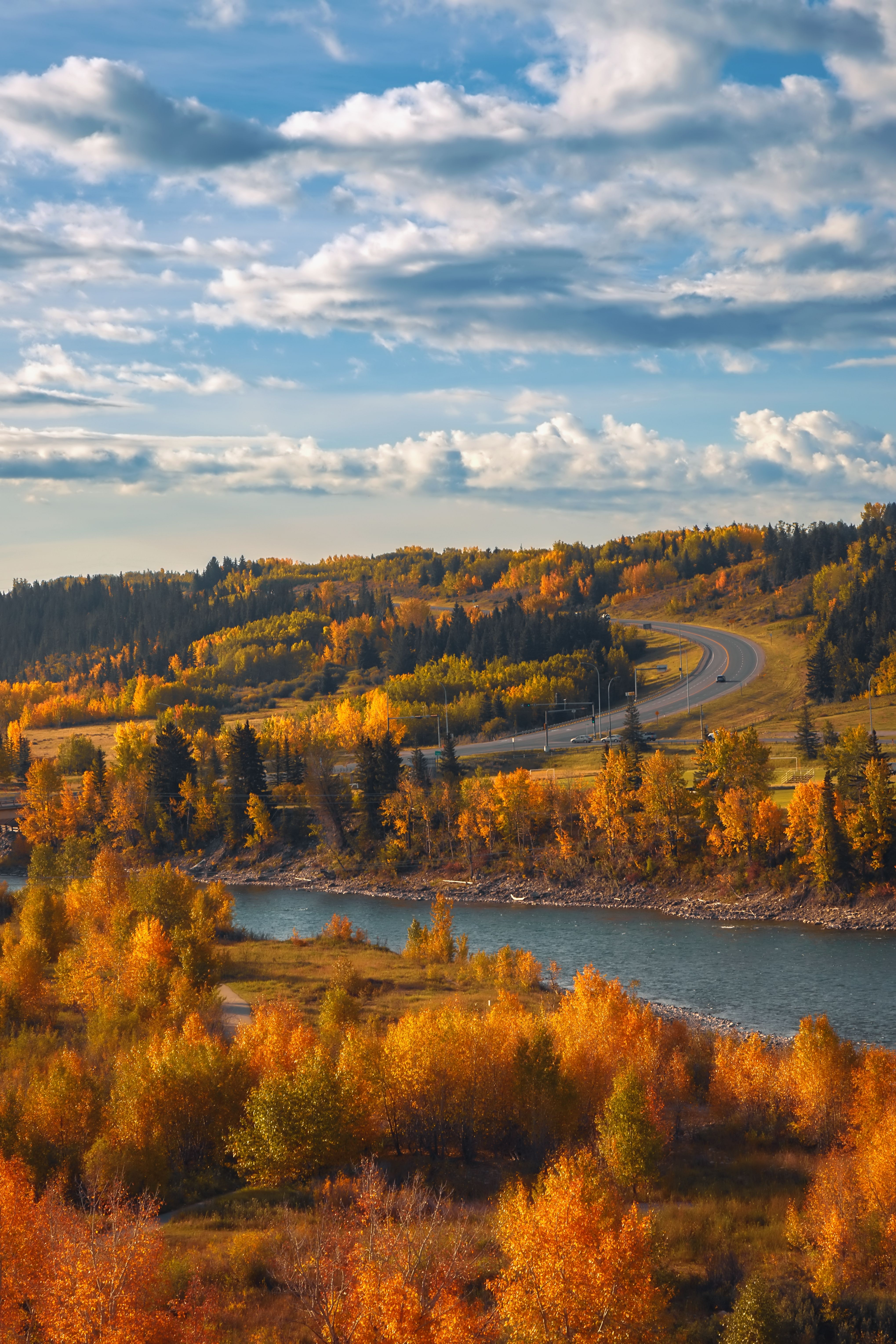 Road Among Trees Near River in Alberta, Canada in Autumn · Free Stock Photo