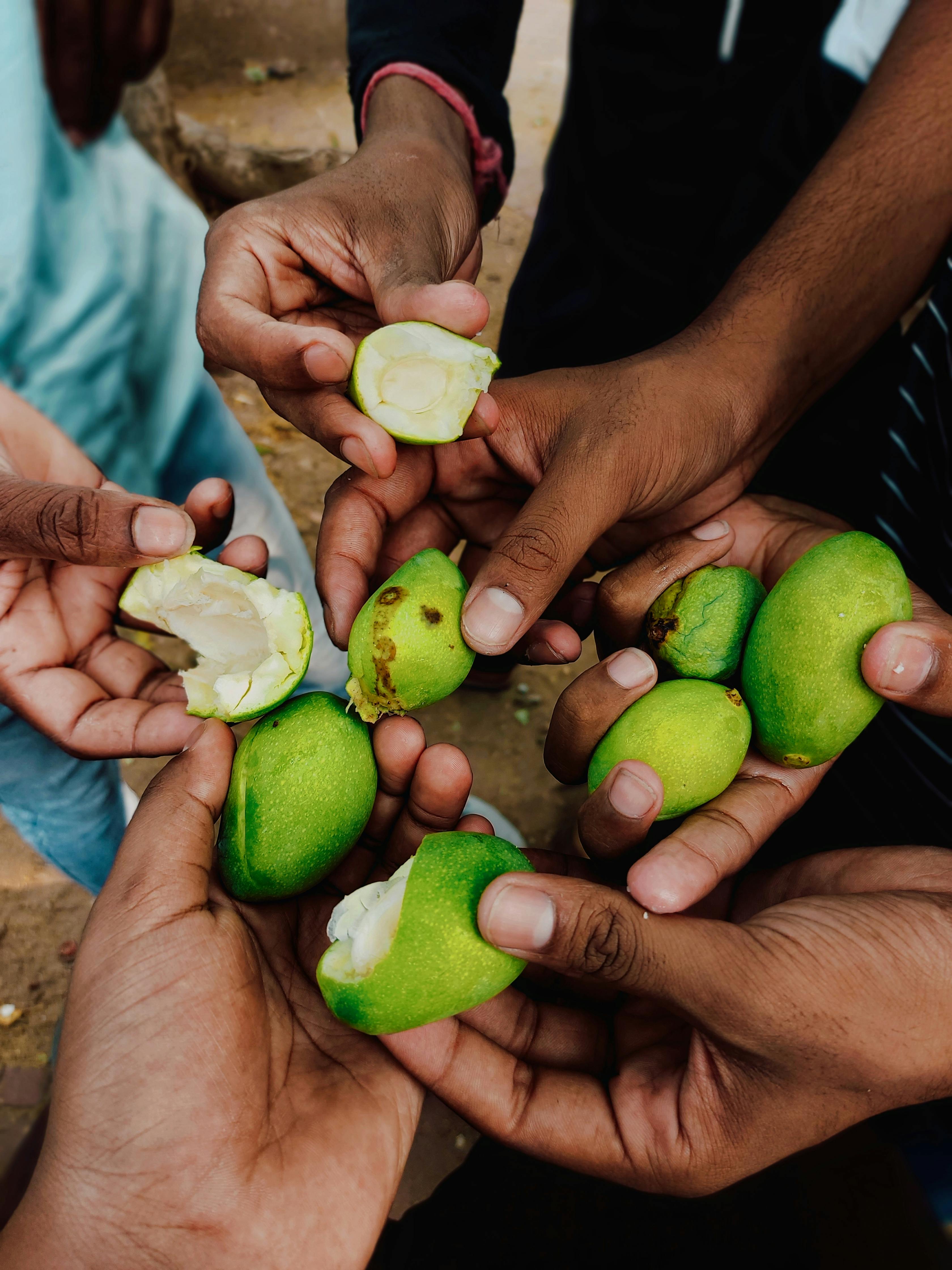 Close-up of People Holding Mangos · Free Stock Photo
