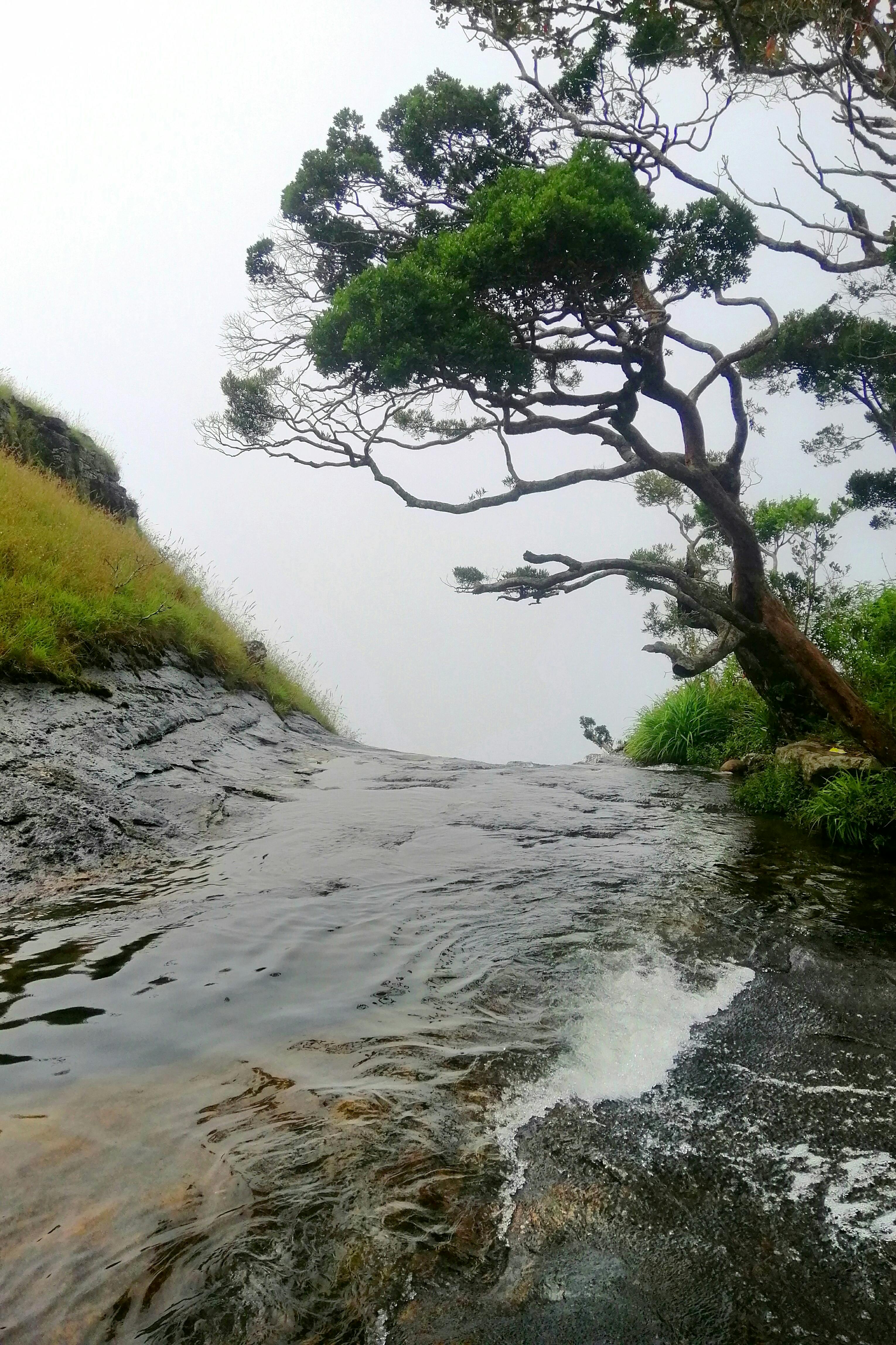 View of a River Flowing between a Hill and a Field with Trees · Free ...