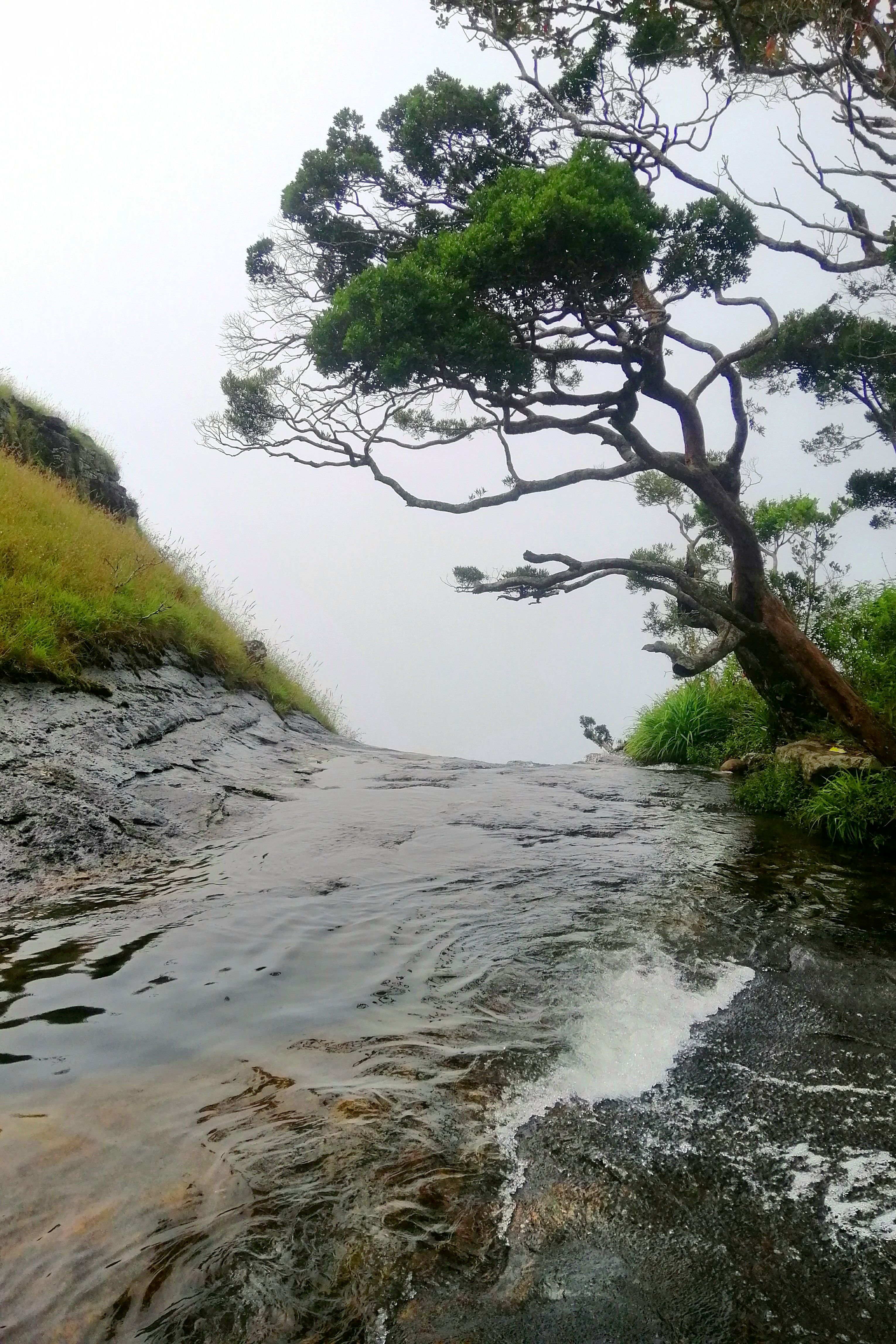 View of a River Flowing between a Hill and a Field with Trees · Free ...