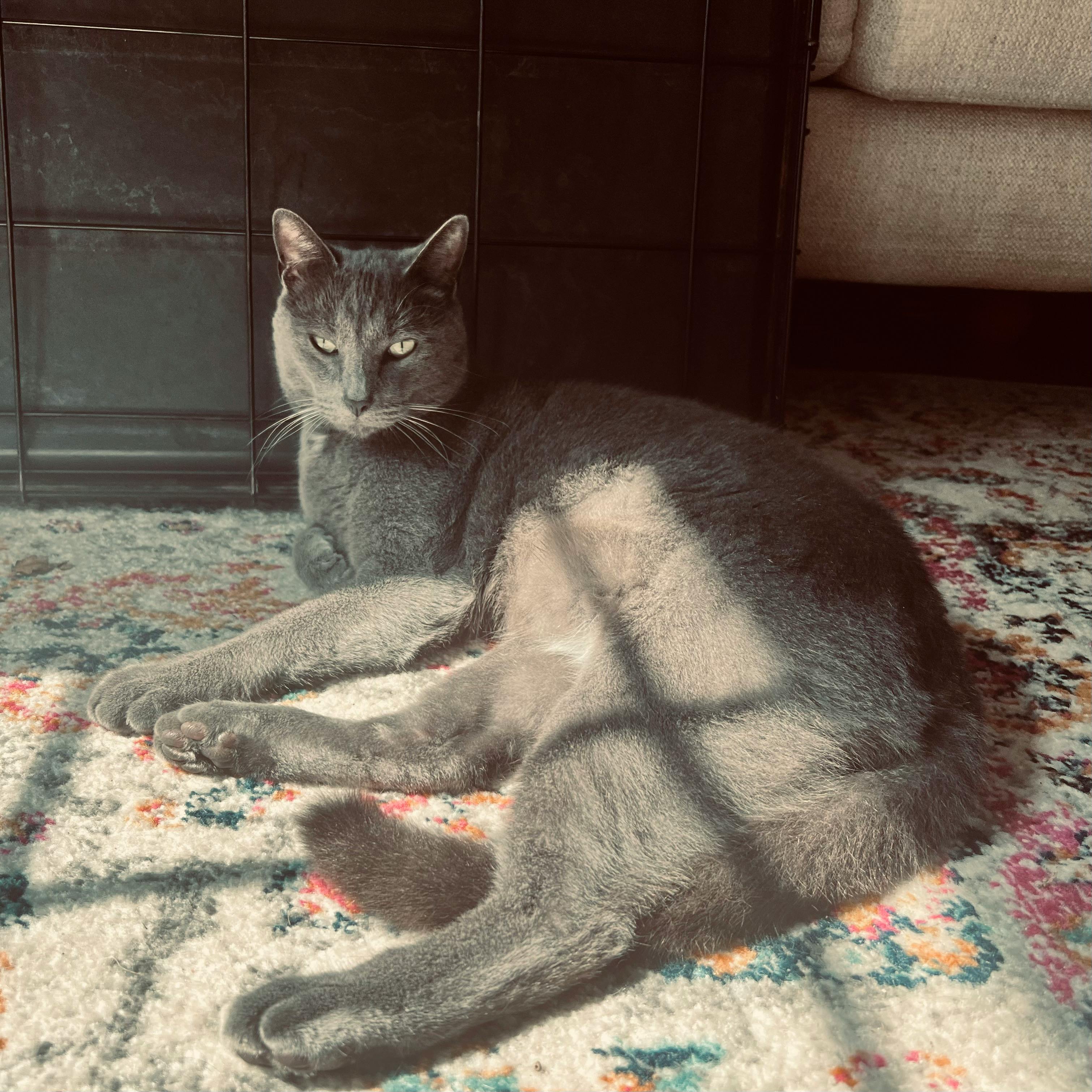 Lesli Whitecotton - Photography