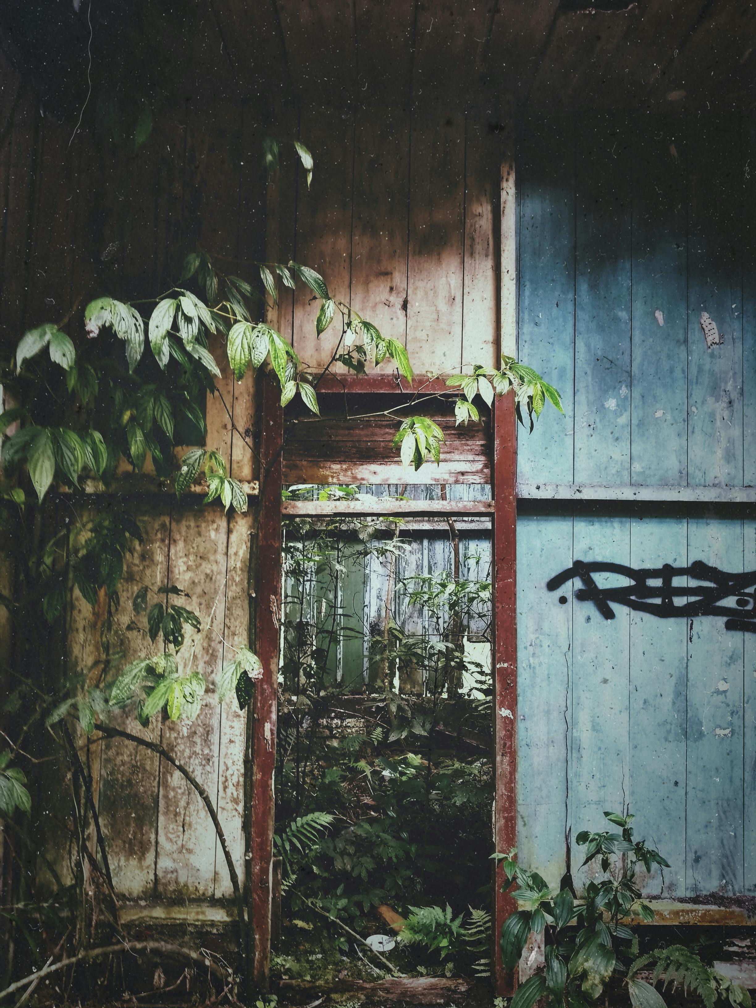 Beautiful Decomposition Photos · Pexels · Free Stock Photos