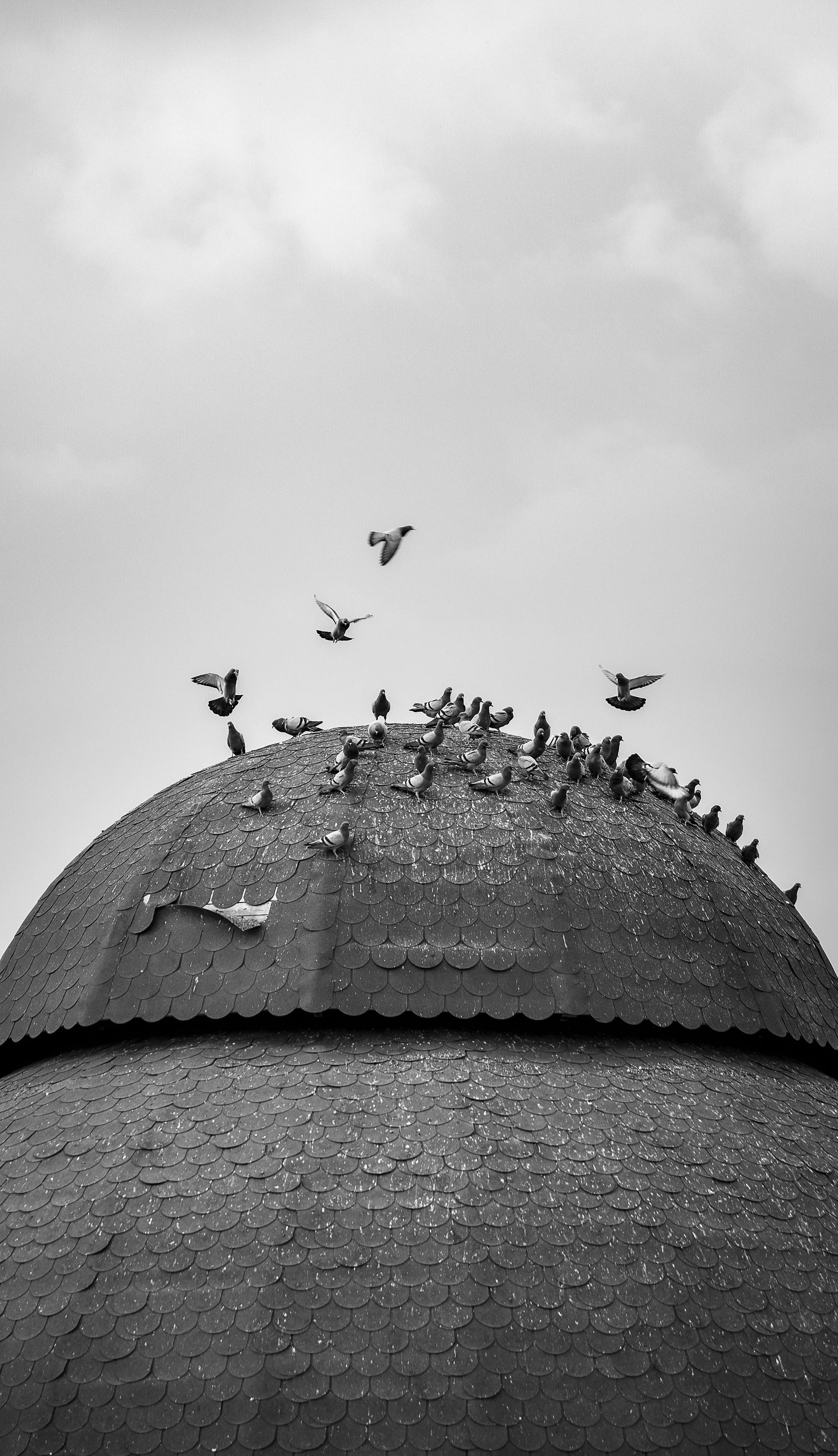 Building Animation Photos, Download The BEST Free Building Animation ...