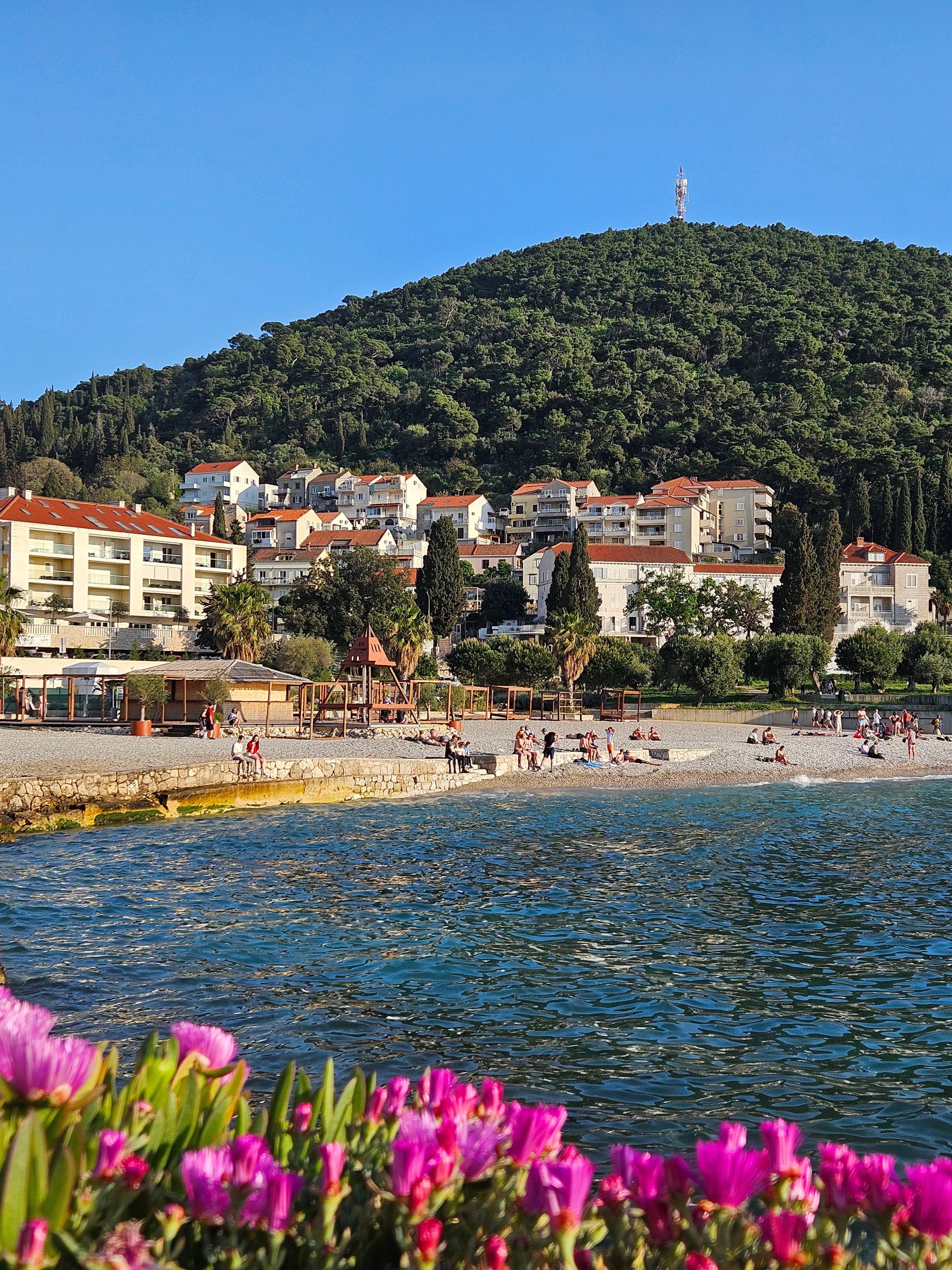 Lapad Beach in Dubrovnik · Free Stock Photo