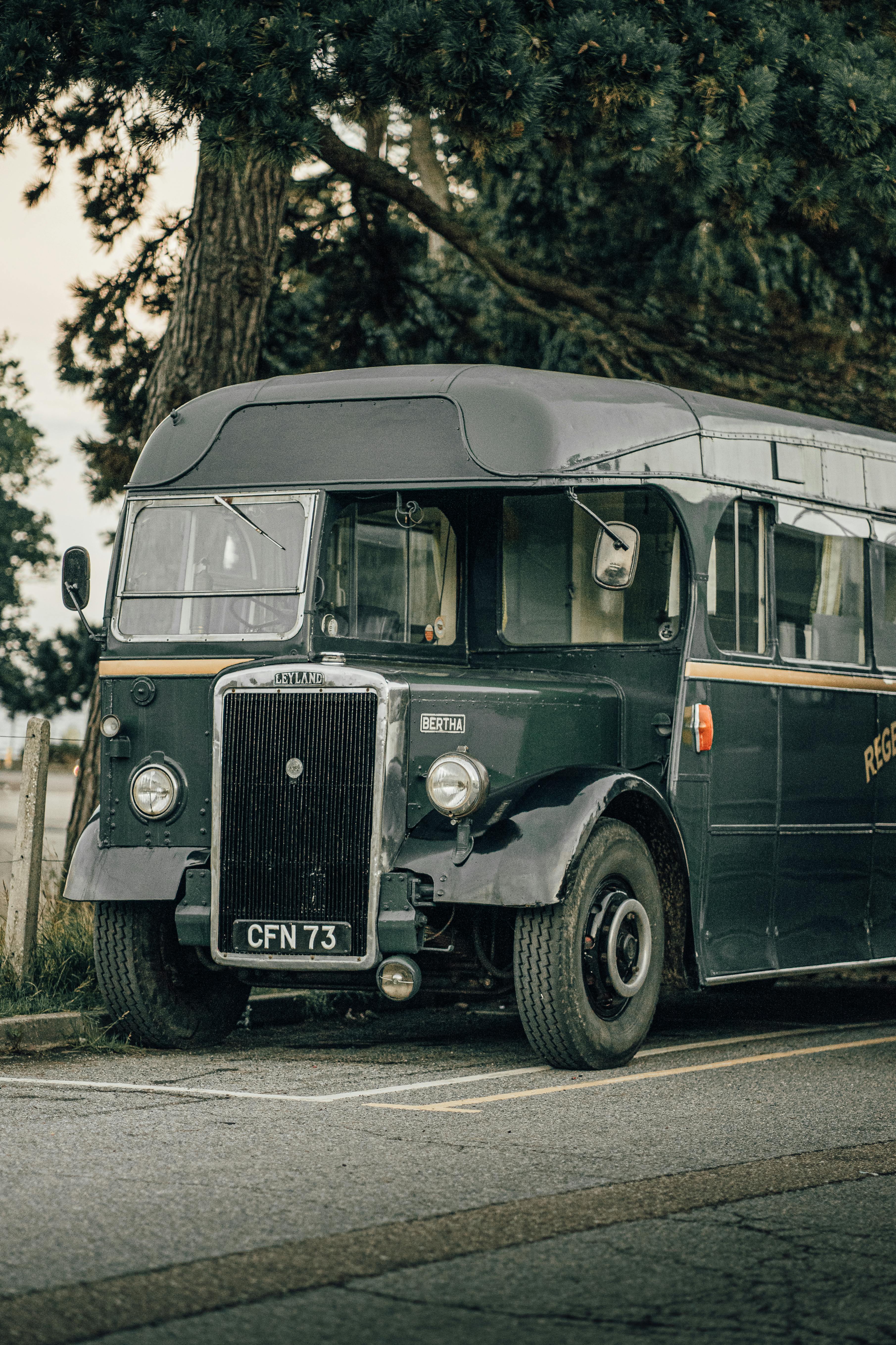 Mimic Bus Photos, Download The BEST Free Mimic Bus Stock Photos & HD Images