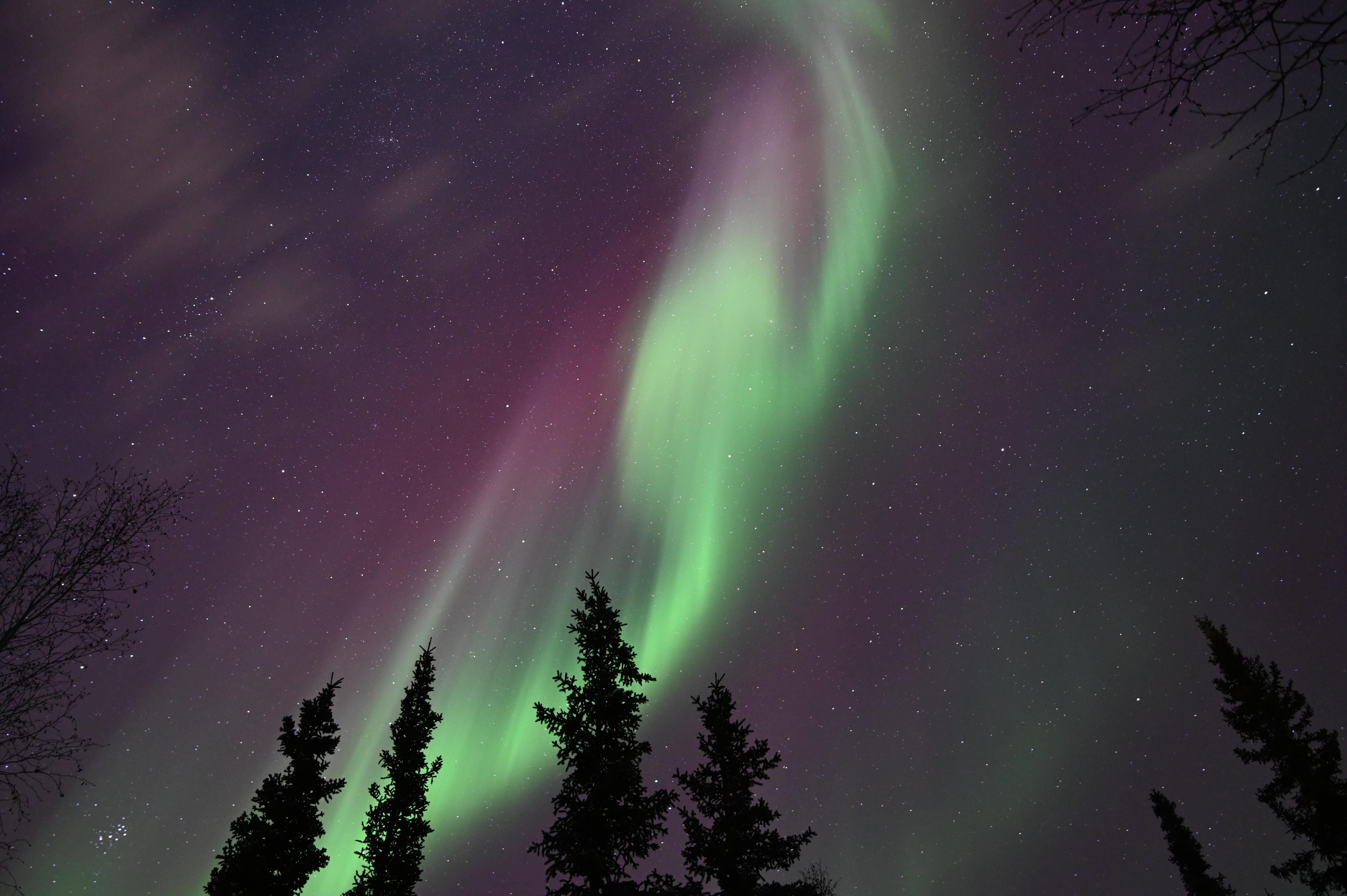 Aurora Borealis in Night Sky · Free Stock Photo