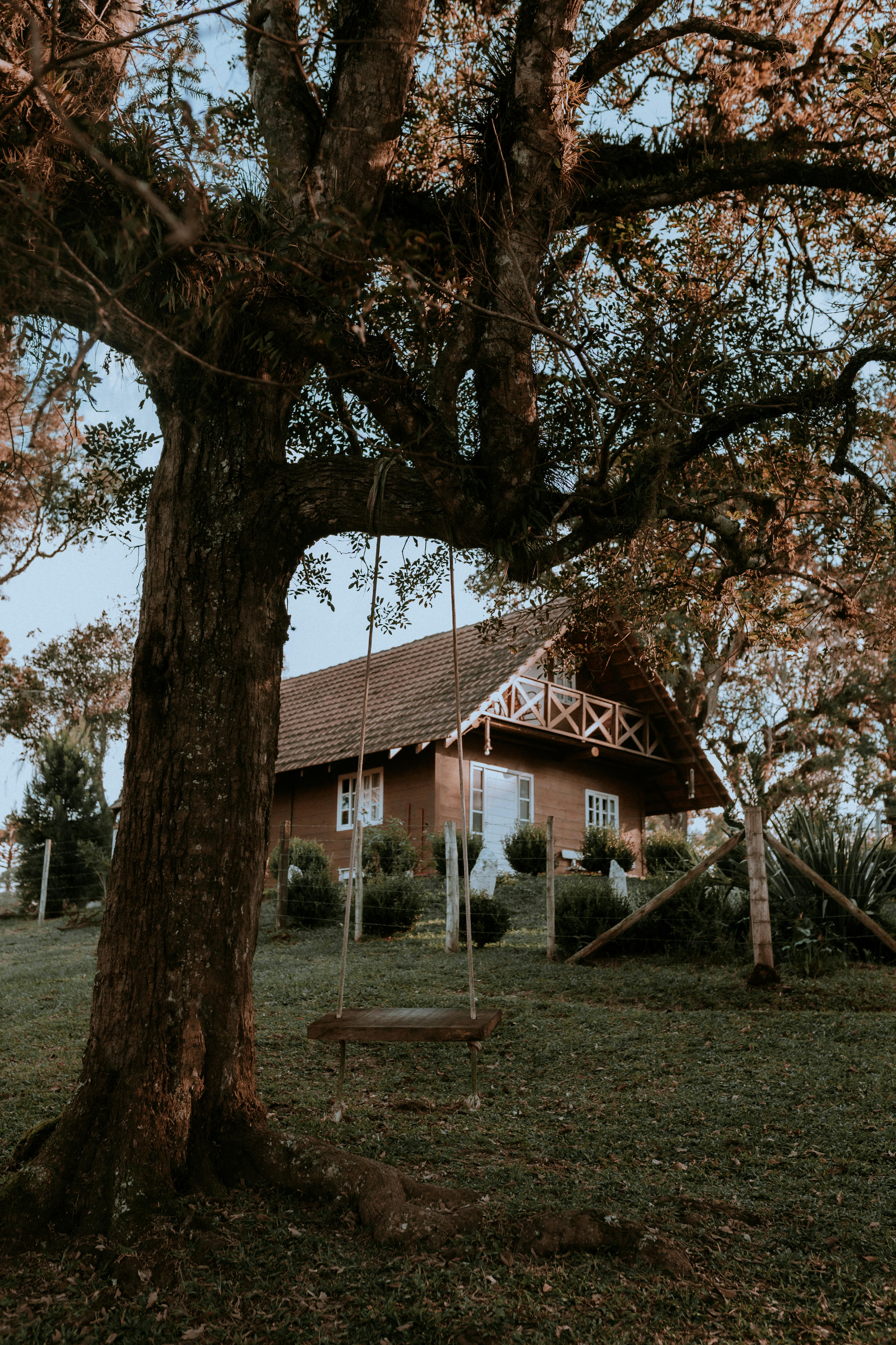 A Swing Hanging on the Tree in Front of Wooden House · Free Stock Photo