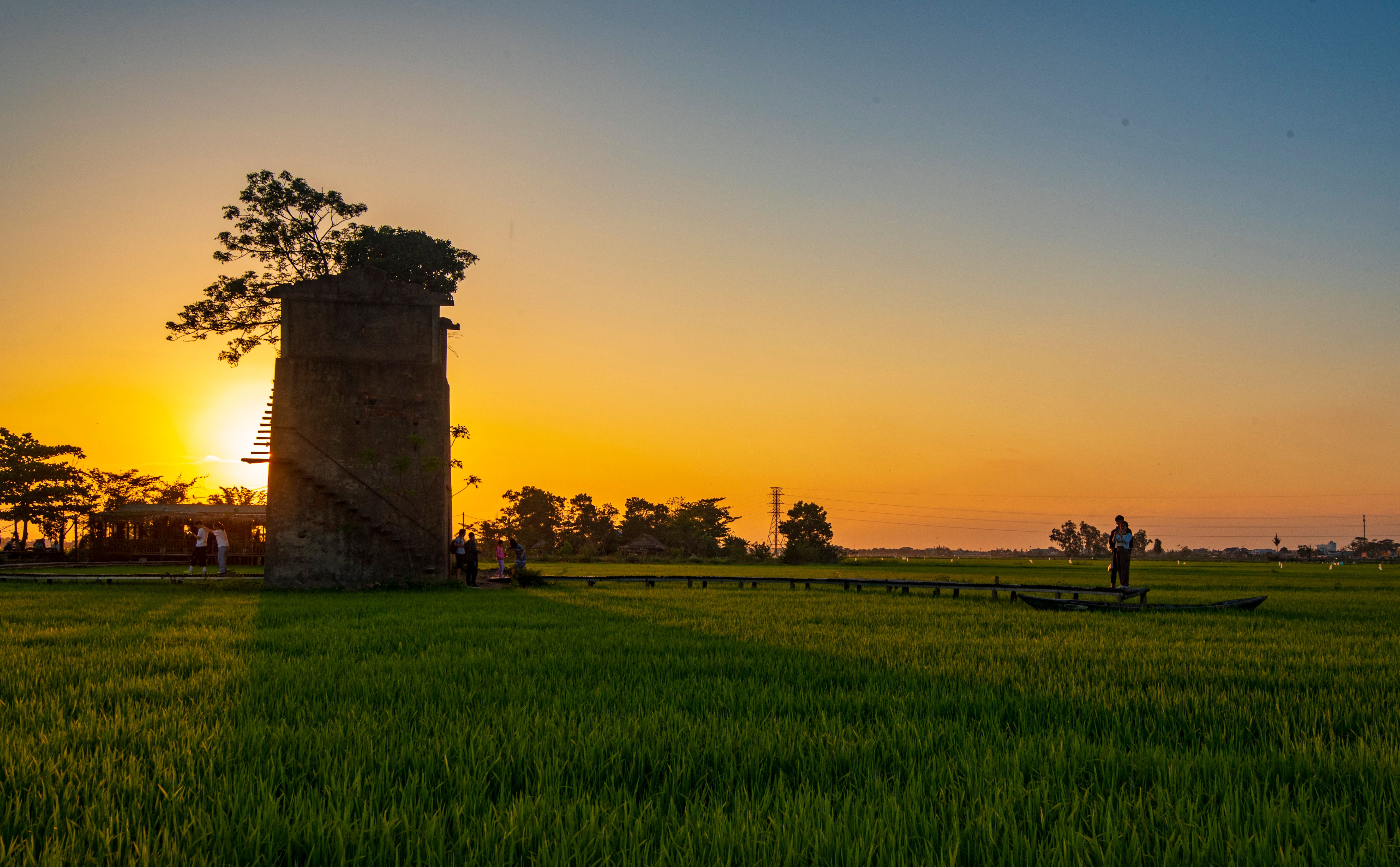 An Old Tower and Boardwalk in a Rice Paddy at Sunset in Vietnam · Free ...