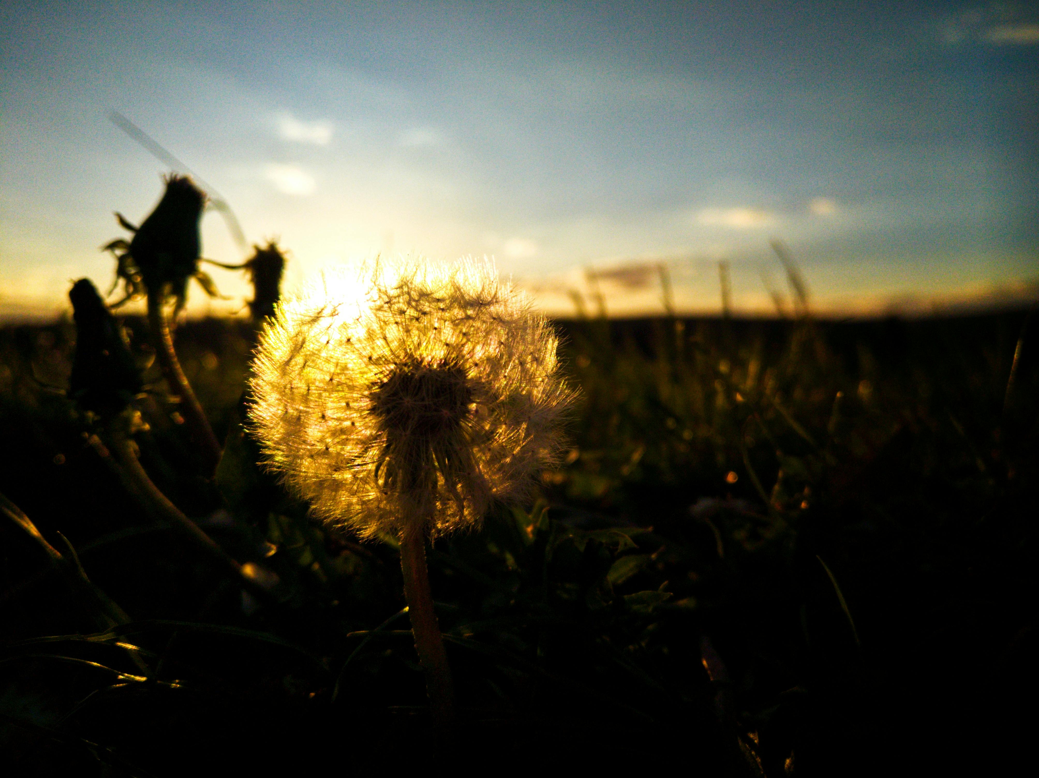 Andreas Barth - Photography