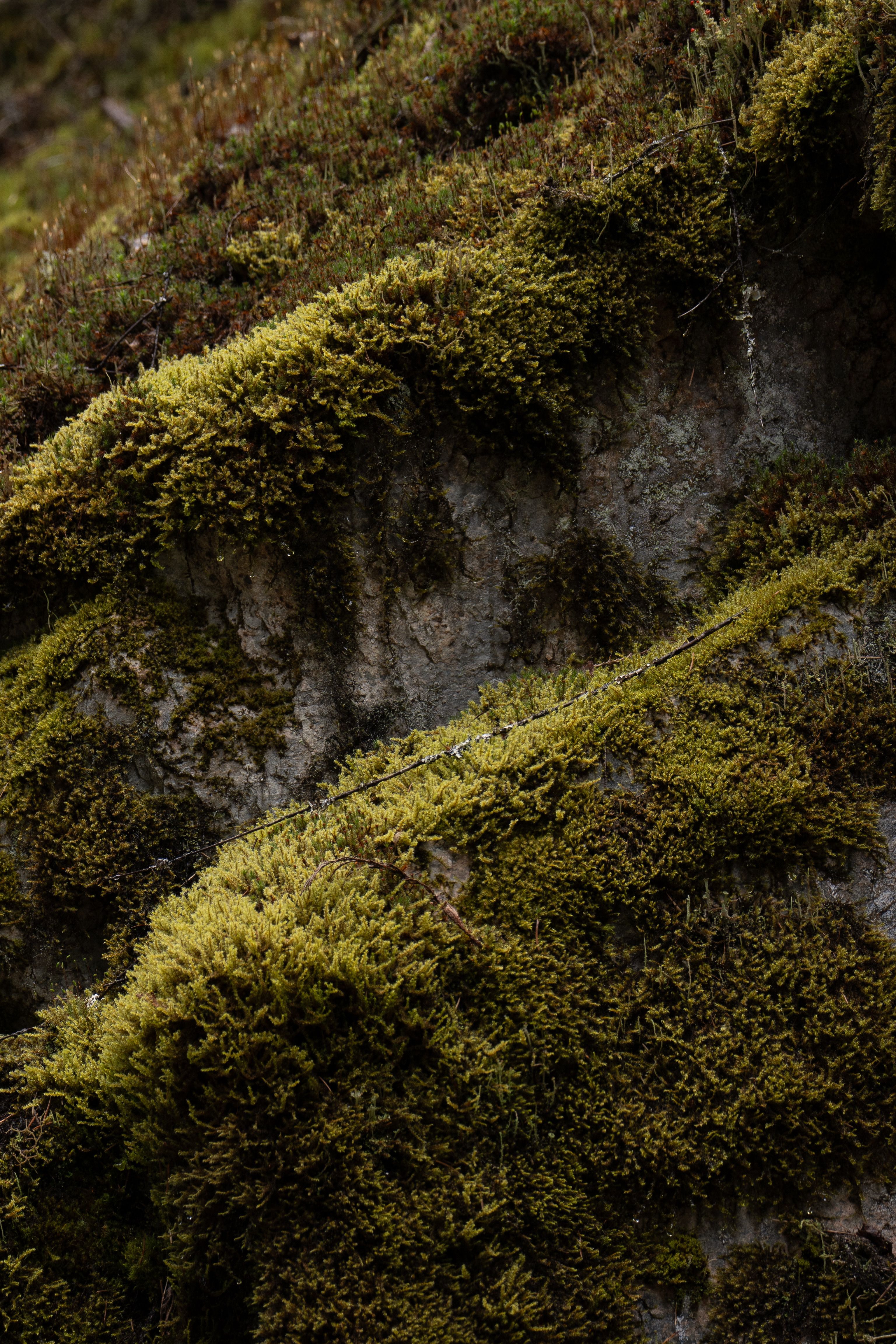 Bedrock Photos, Download The BEST Free Bedrock Stock Photos & HD Images