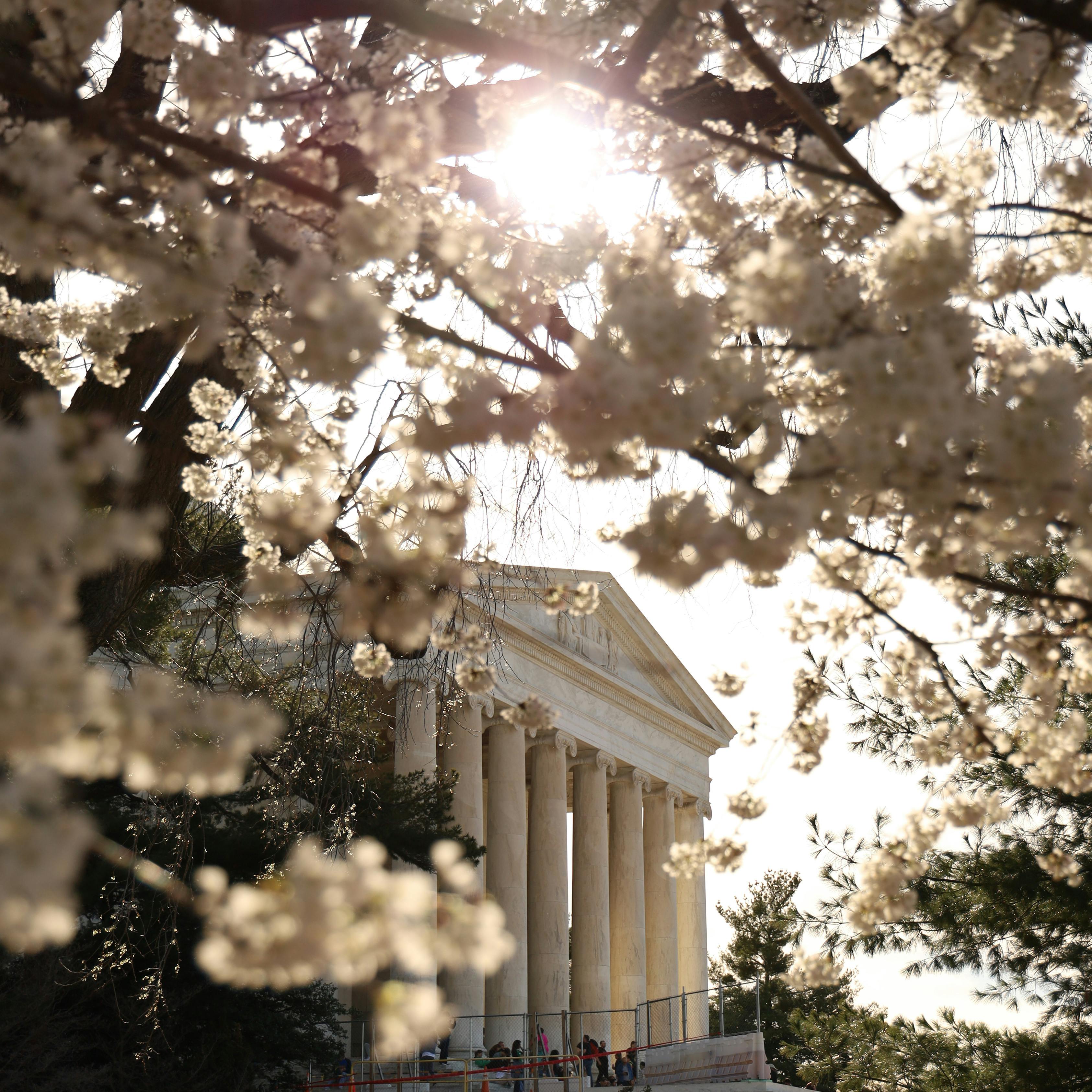 Washington FC · Free Stock Photo