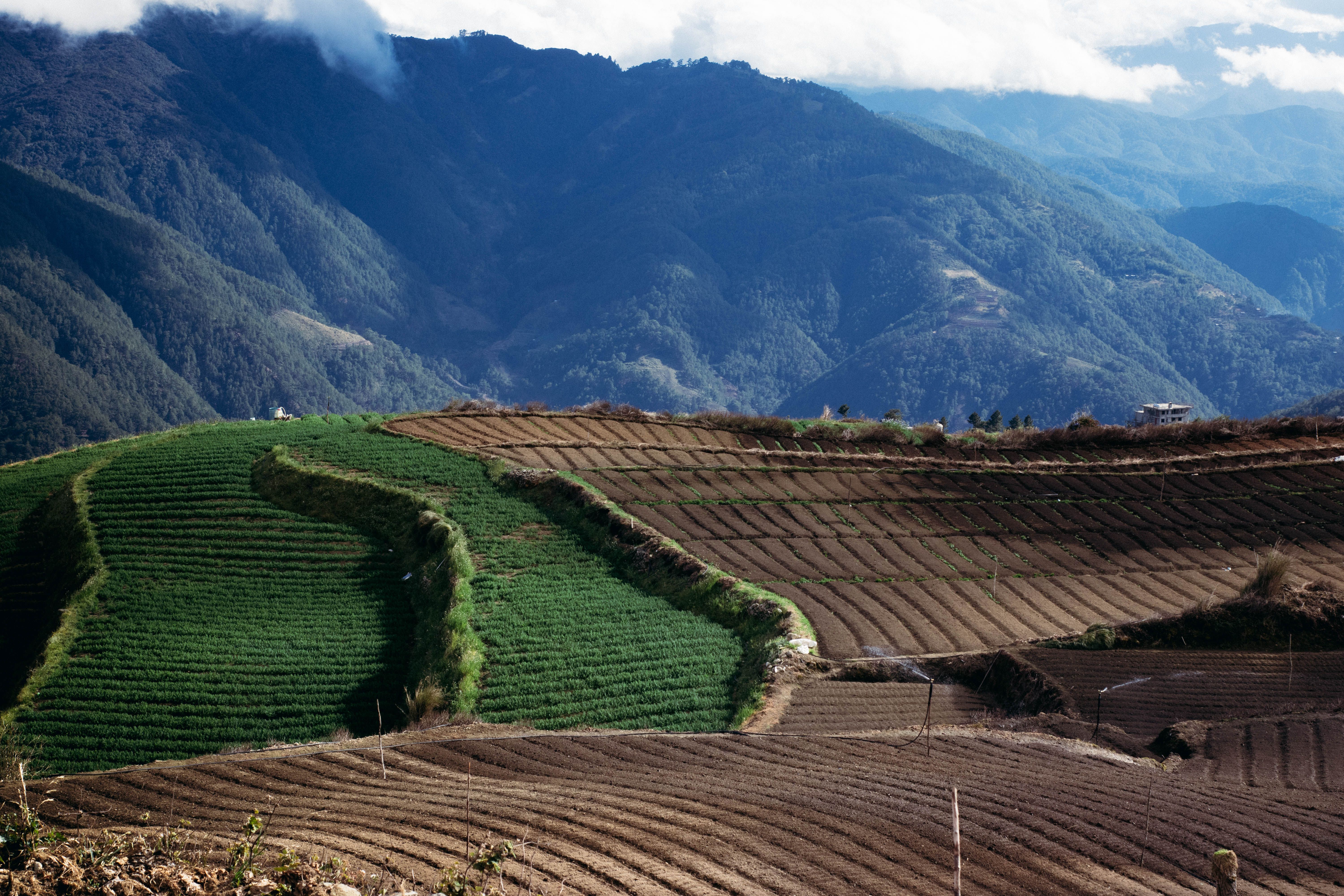 Hill Farming Photos, Download The BEST Free Hill Farming Stock Photos ...