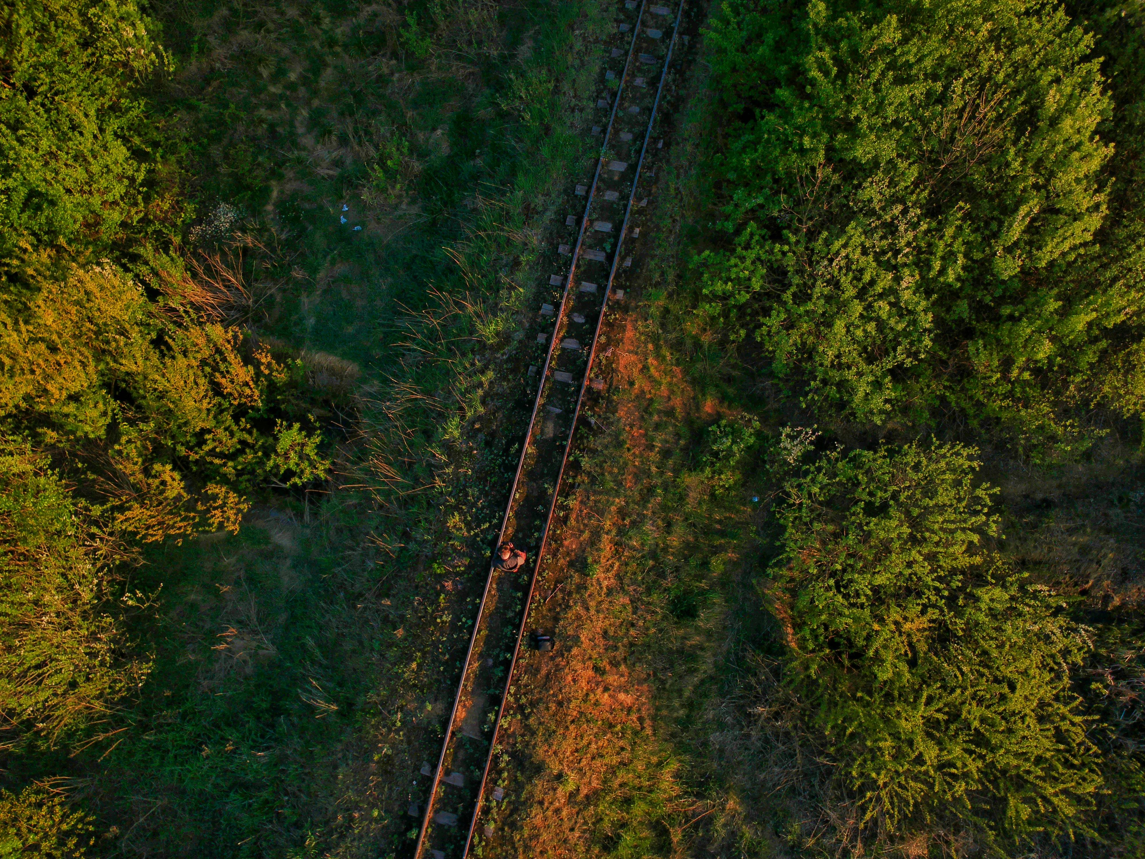 Aerial Shot of Railroad Track · Free Stock Photo