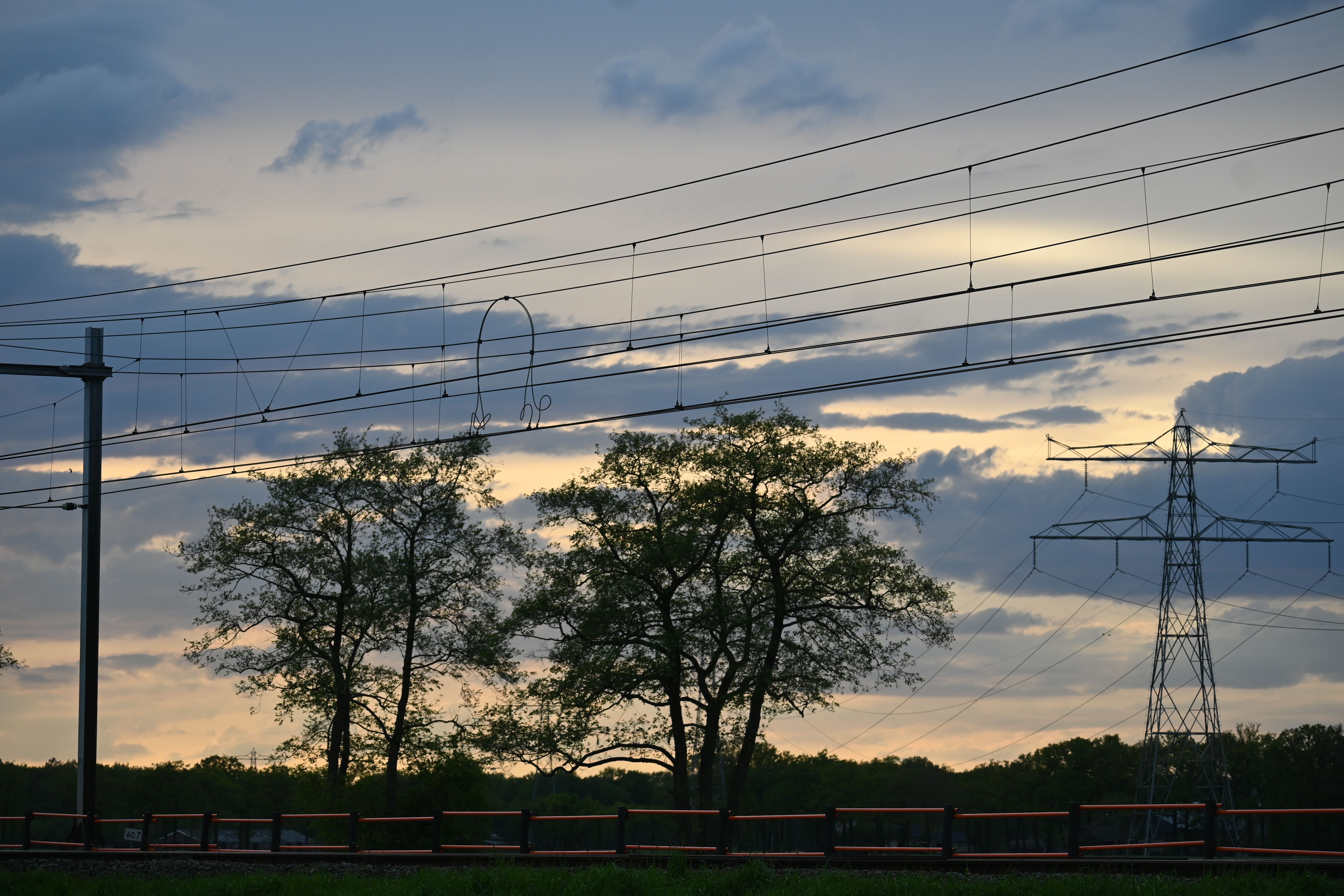 Power Lines over Trees in Countryside at Sunset · Free Stock Photo