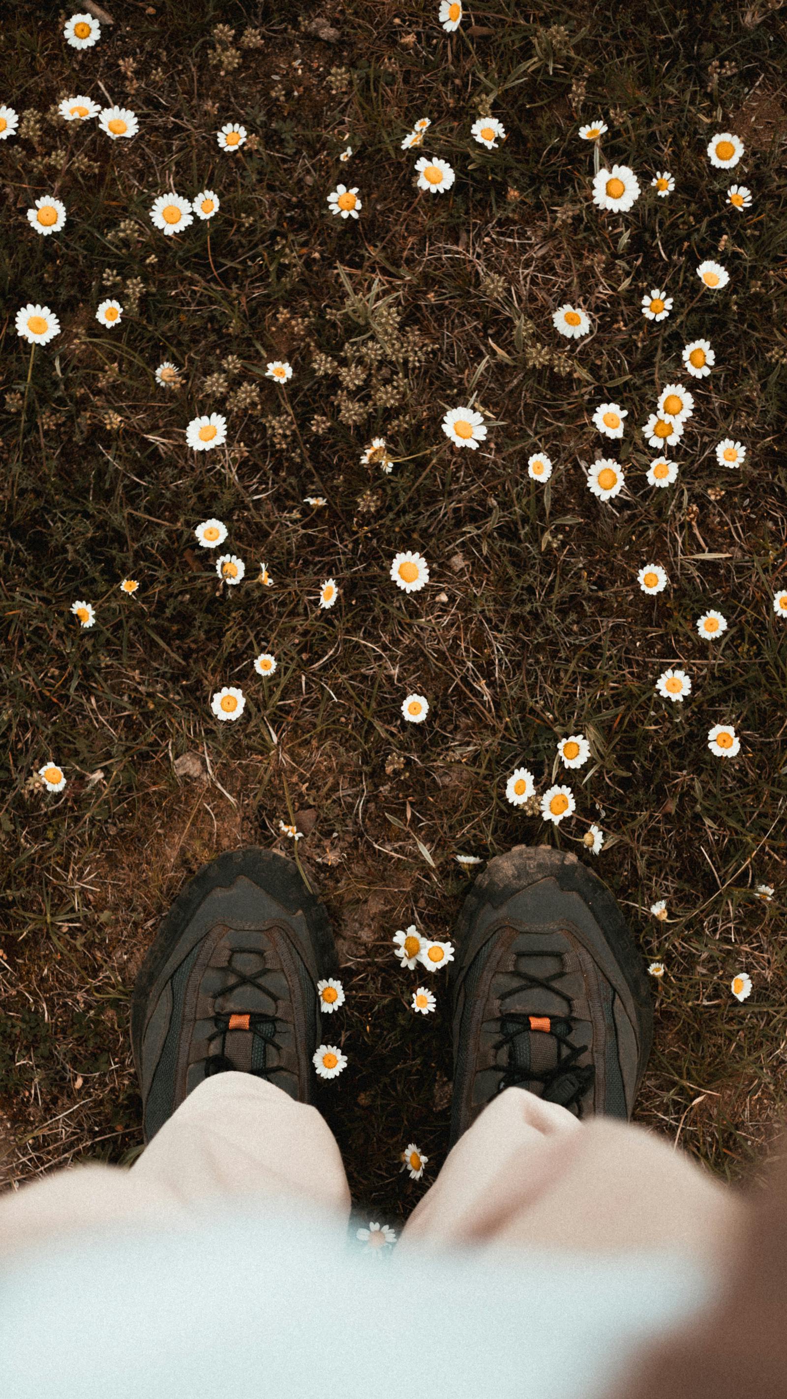 Point Of View Photos, Download The BEST Free Point Of View Stock Photos ...