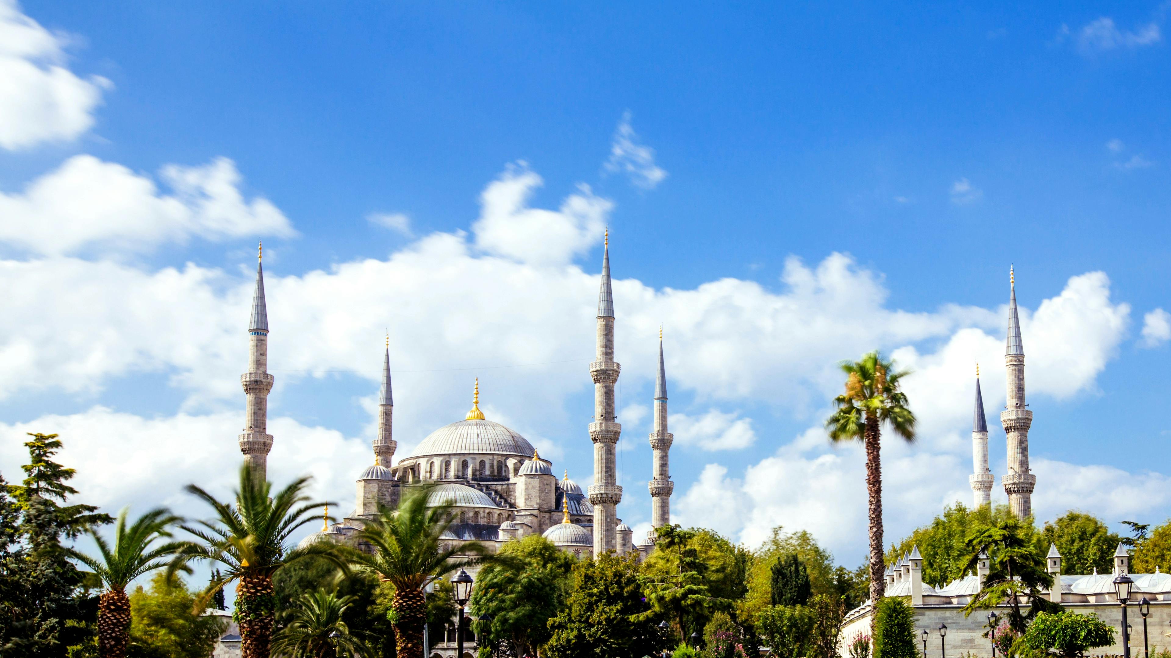 View of a Mosque behind Palm Trees in Istanbul, Turkey · Free Stock Photo