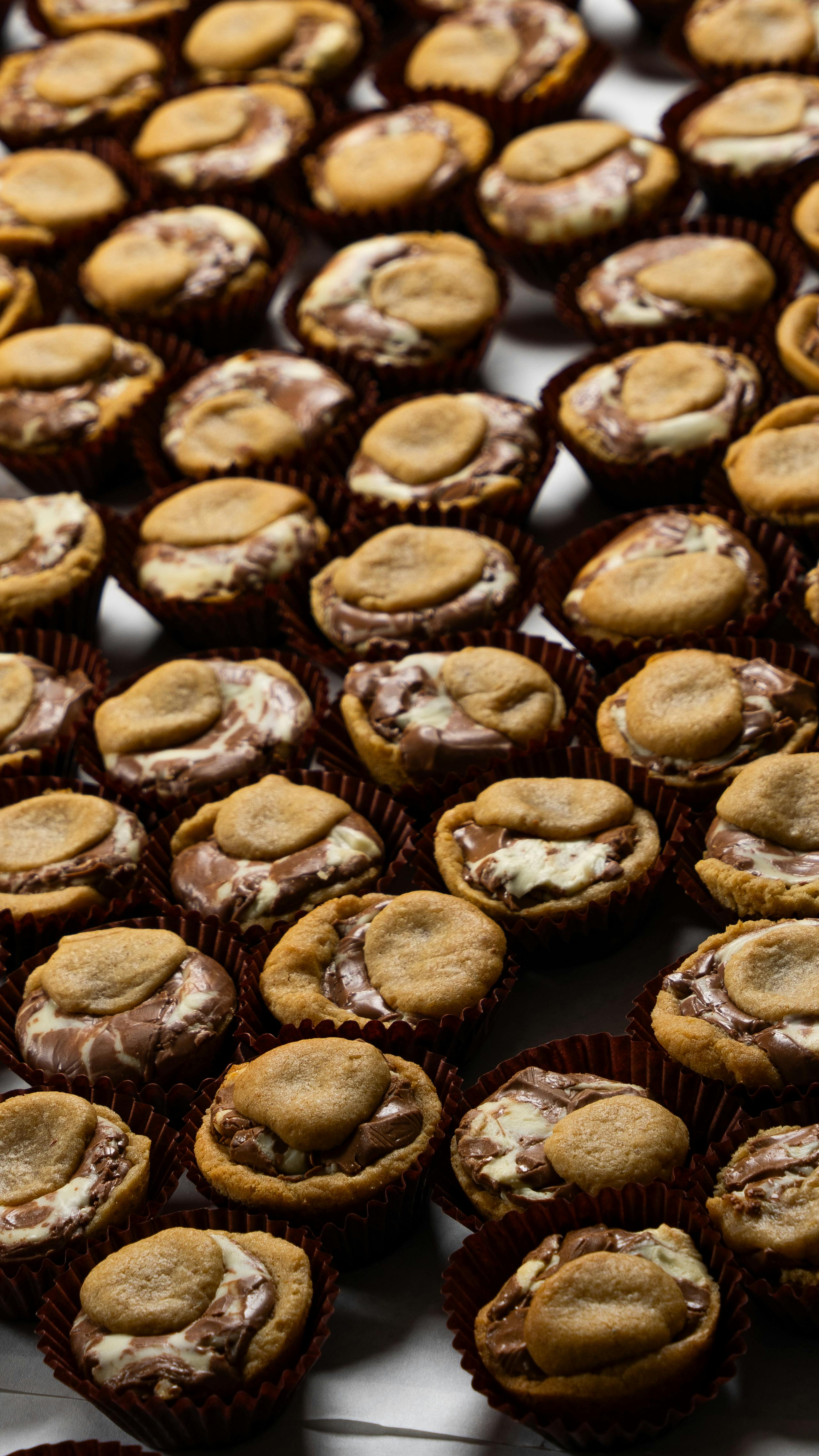 Ali Dashti - Fotografía