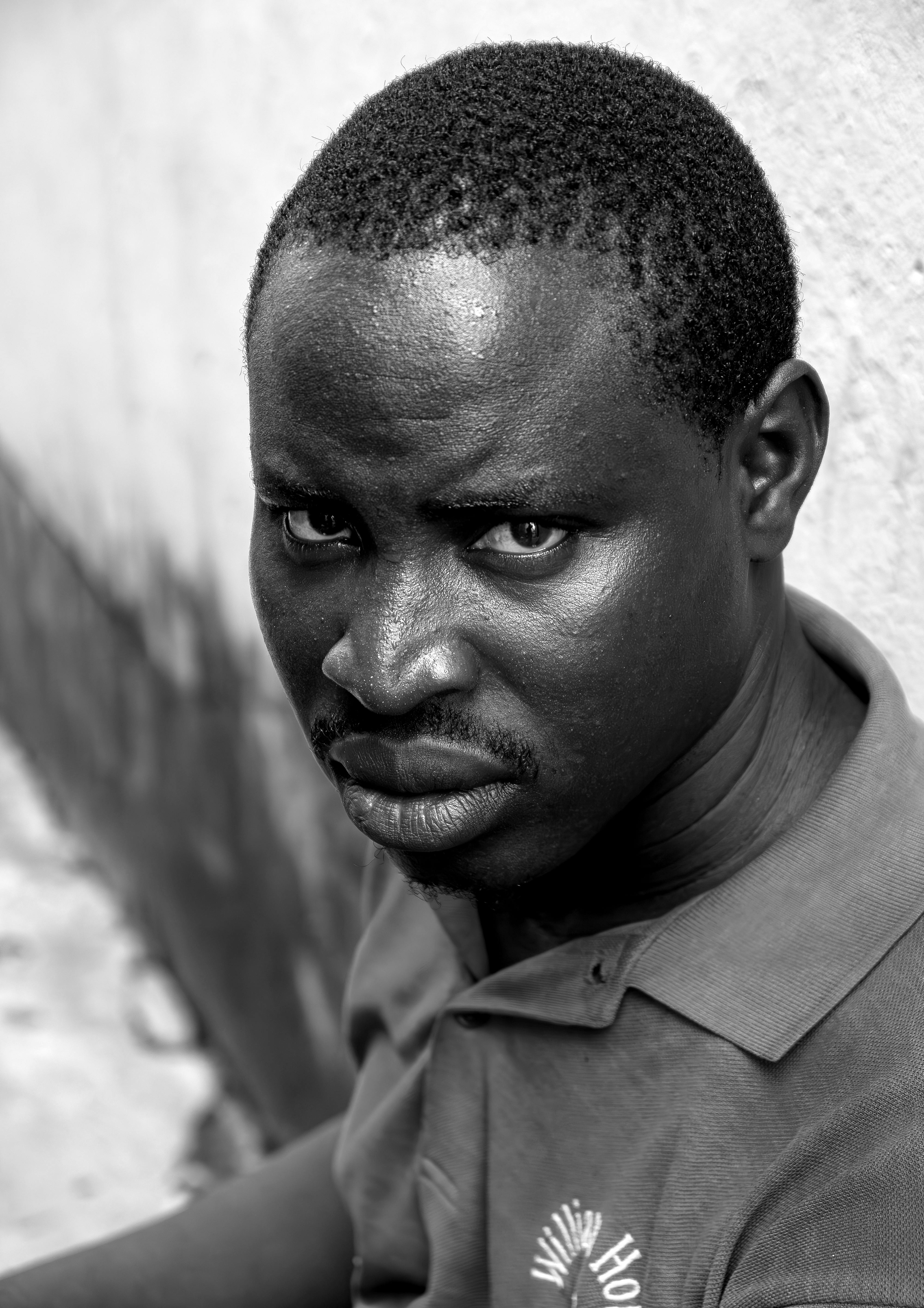 Man Face in Black and White · Free Stock Photo