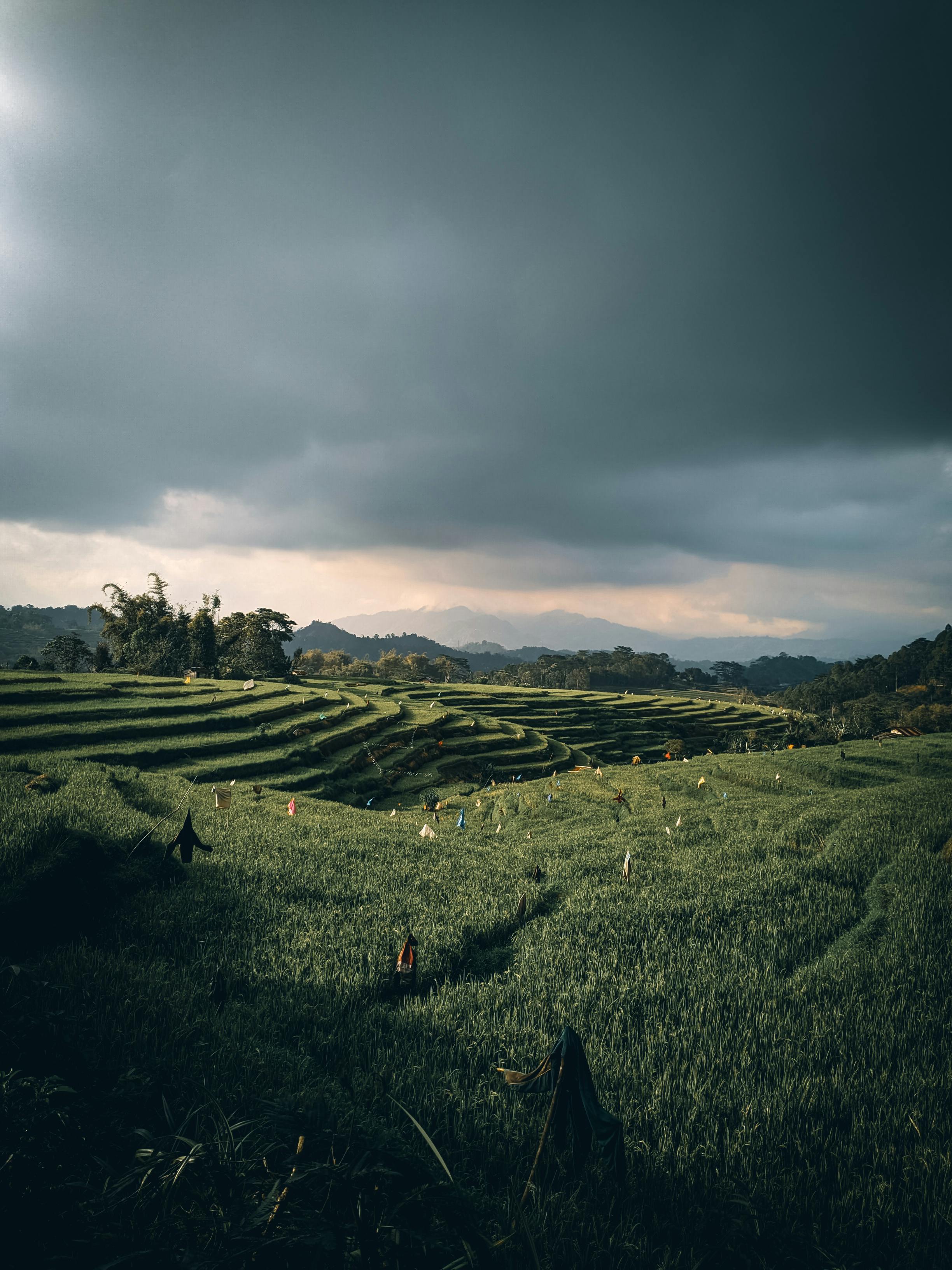 Green Agriculture Photos, Download The BEST Free Green Agriculture ...