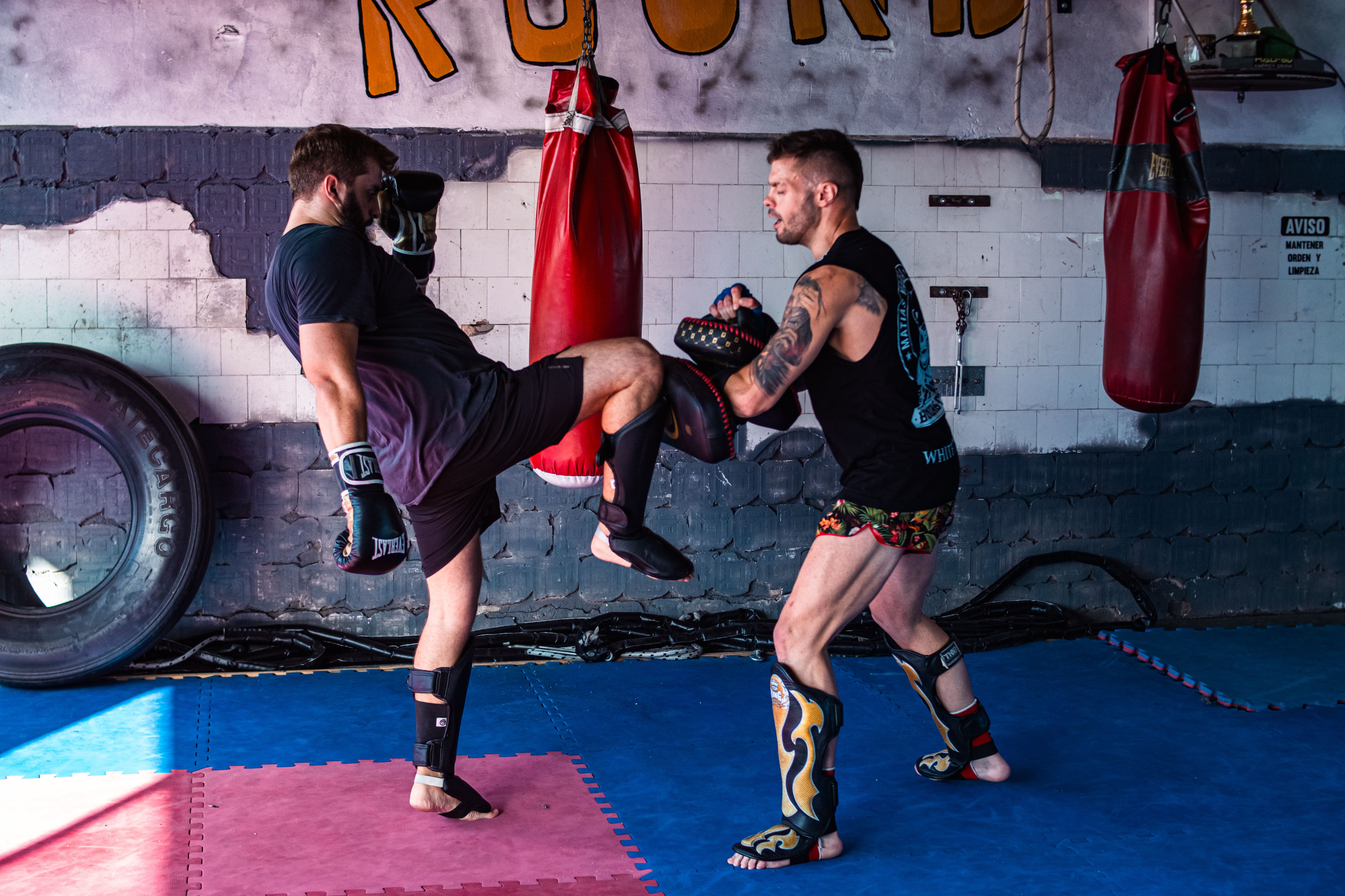 Two Men Exercising Together · Free Stock Photo