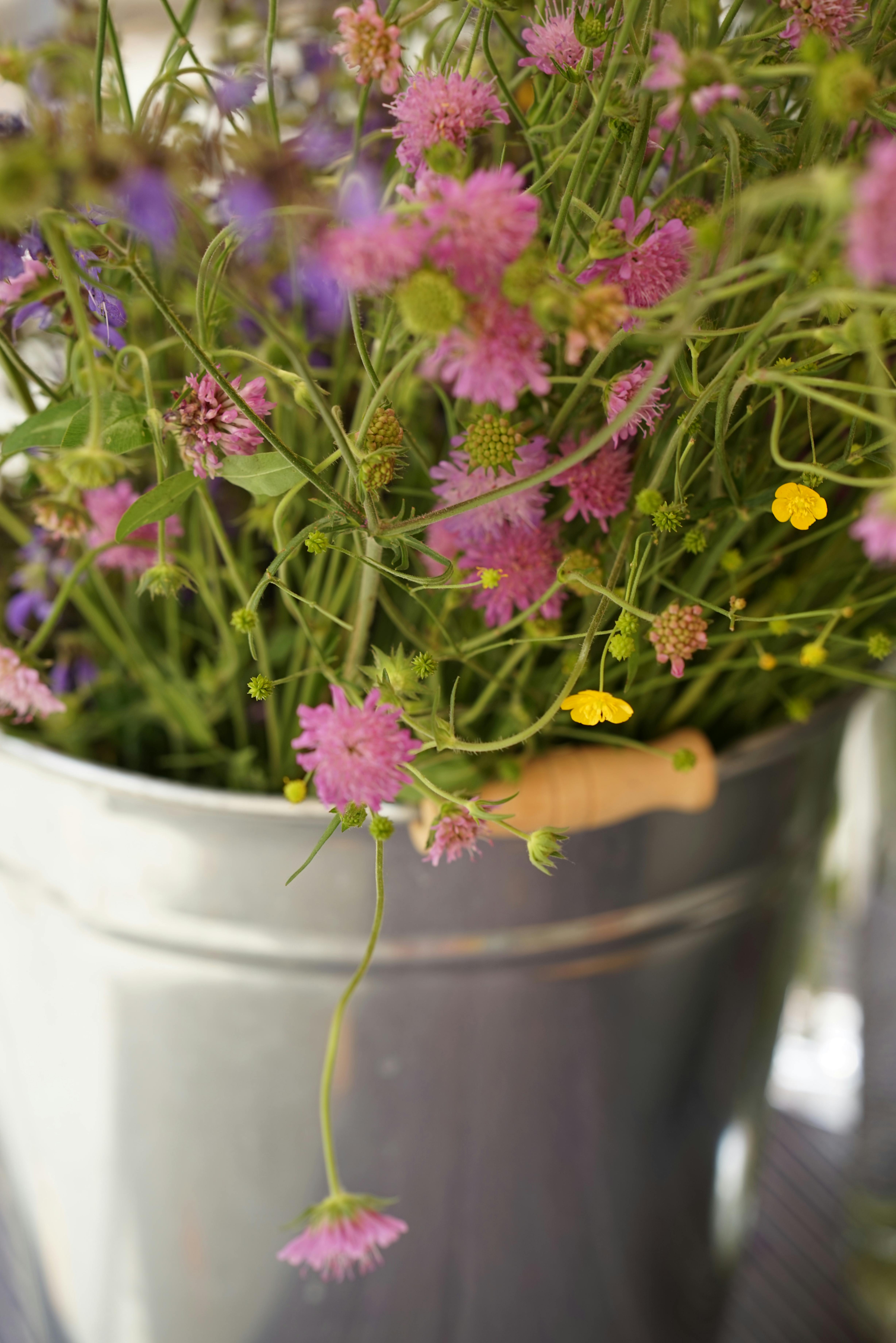 A bucket filled with flowers is sitting on a table · Free Stock Photo