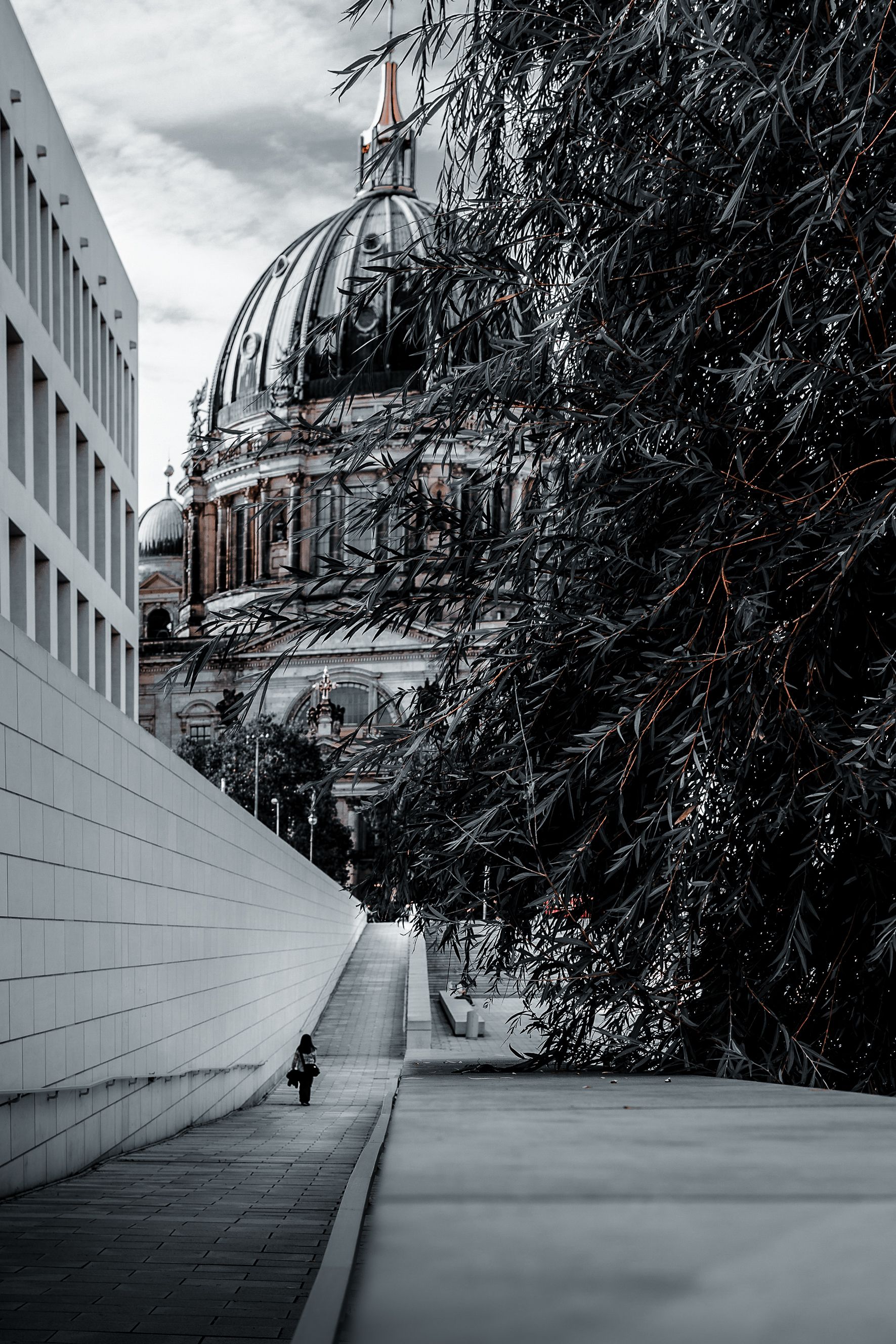 Miscellaneous Photos, Download The BEST Free Miscellaneous Stock Photos ...