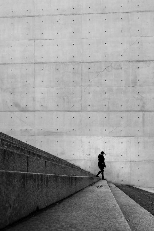 Pedestrian Texture Photos, Download The BEST Free Pedestrian Texture ...