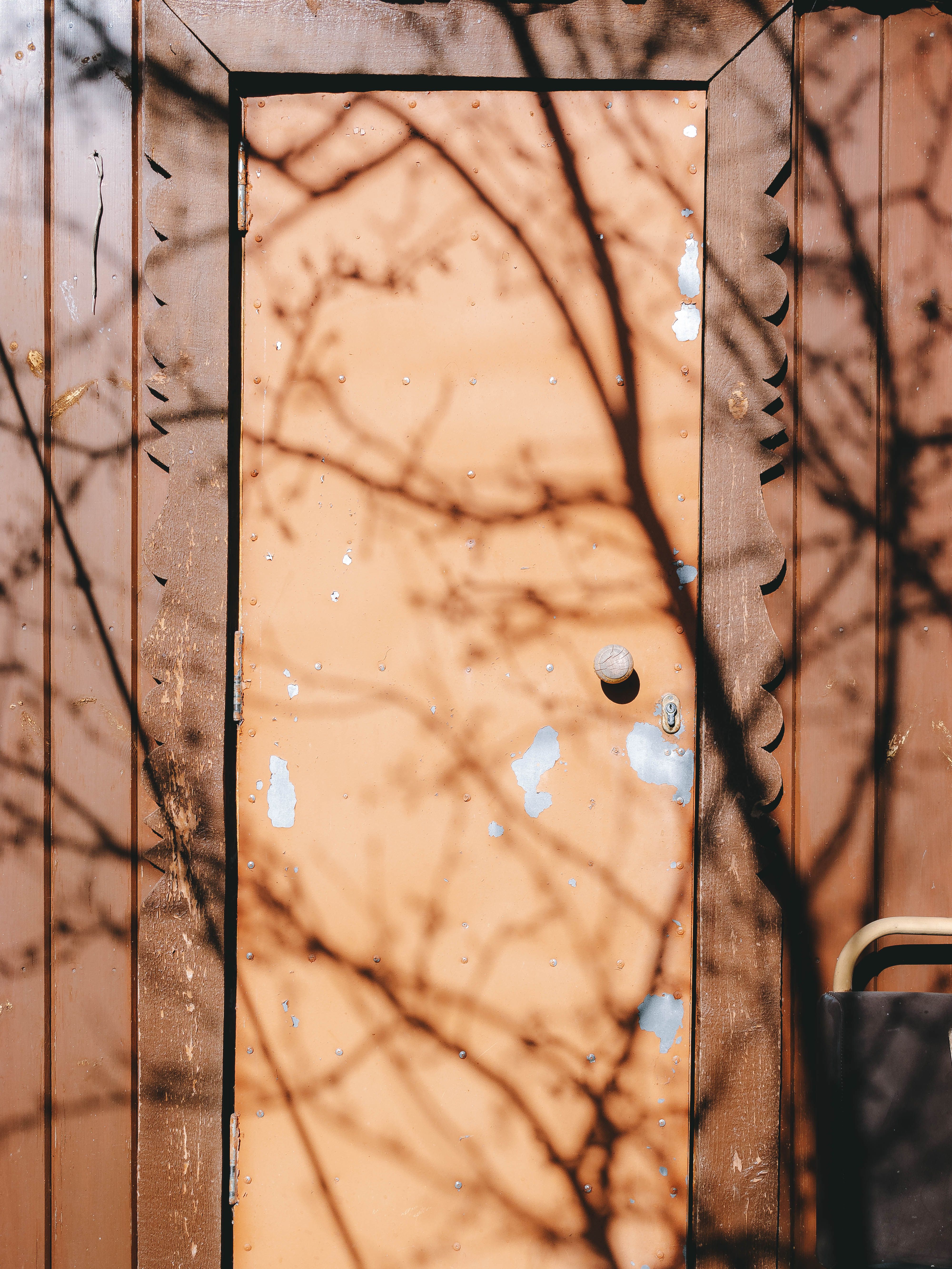 A door with a shadow on it and a tree · Free Stock Photo