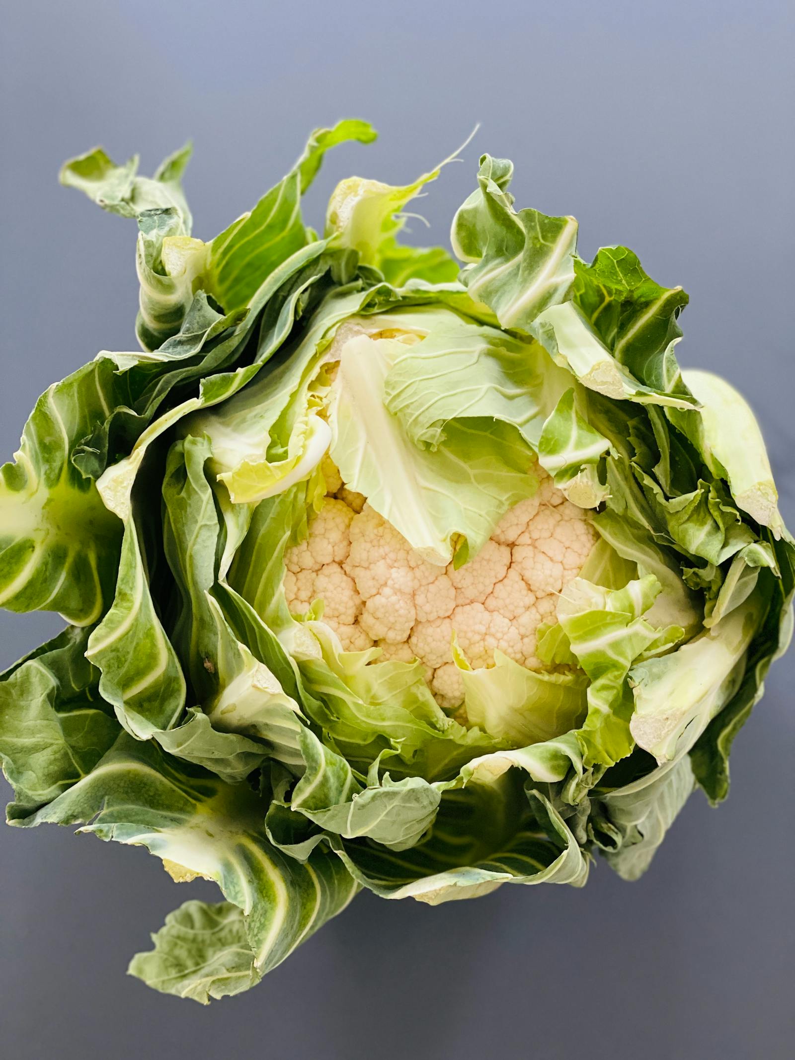 Cauliflower Photos, Download The BEST Free Cauliflower Stock Photos ...