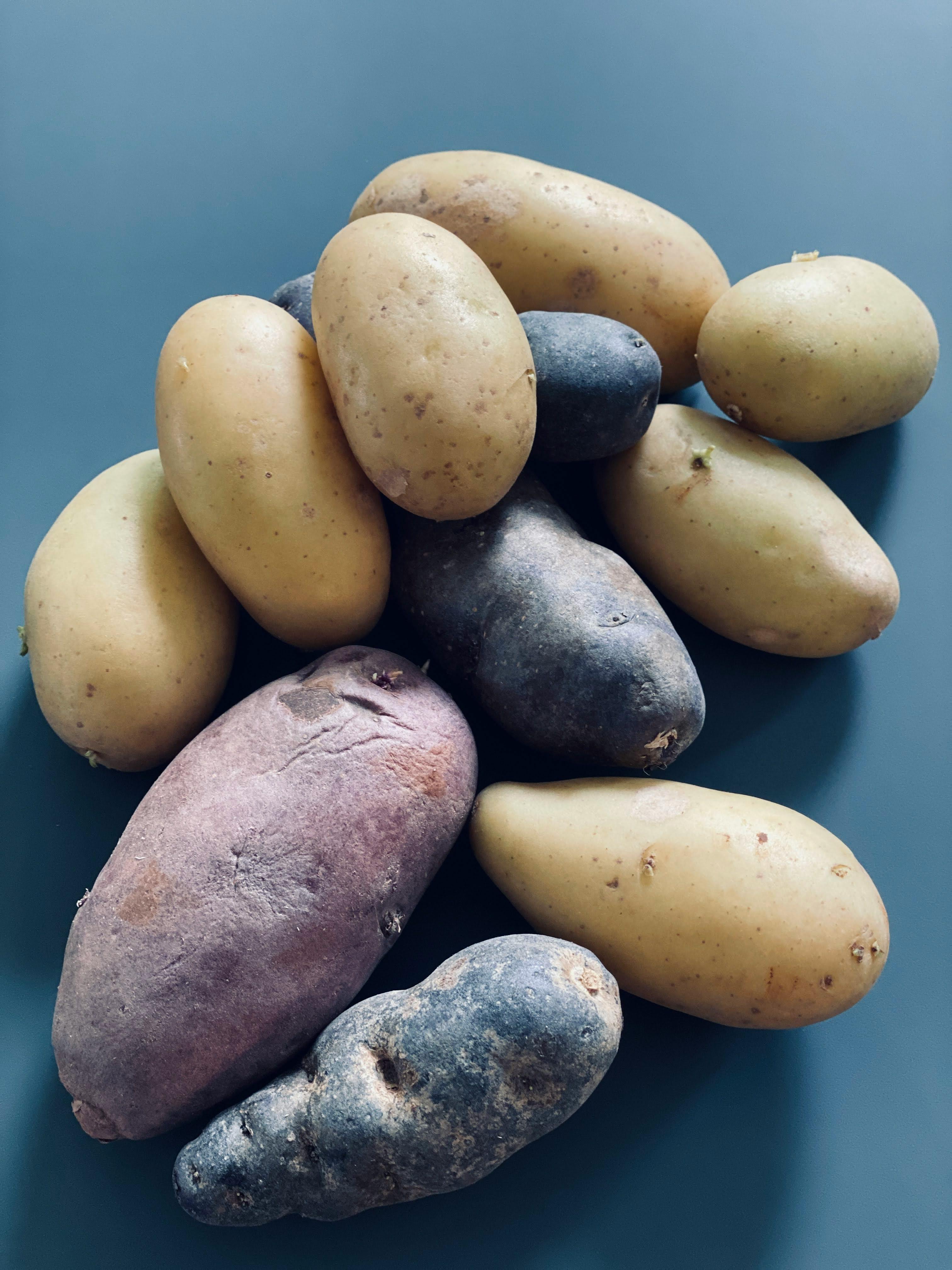 Potatoes on Gray Background · Free Stock Photo