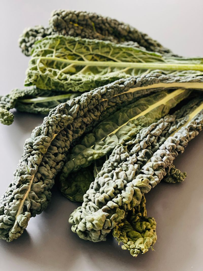 Kale Photos, Download The BEST Free Kale Stock Photos & HD Images