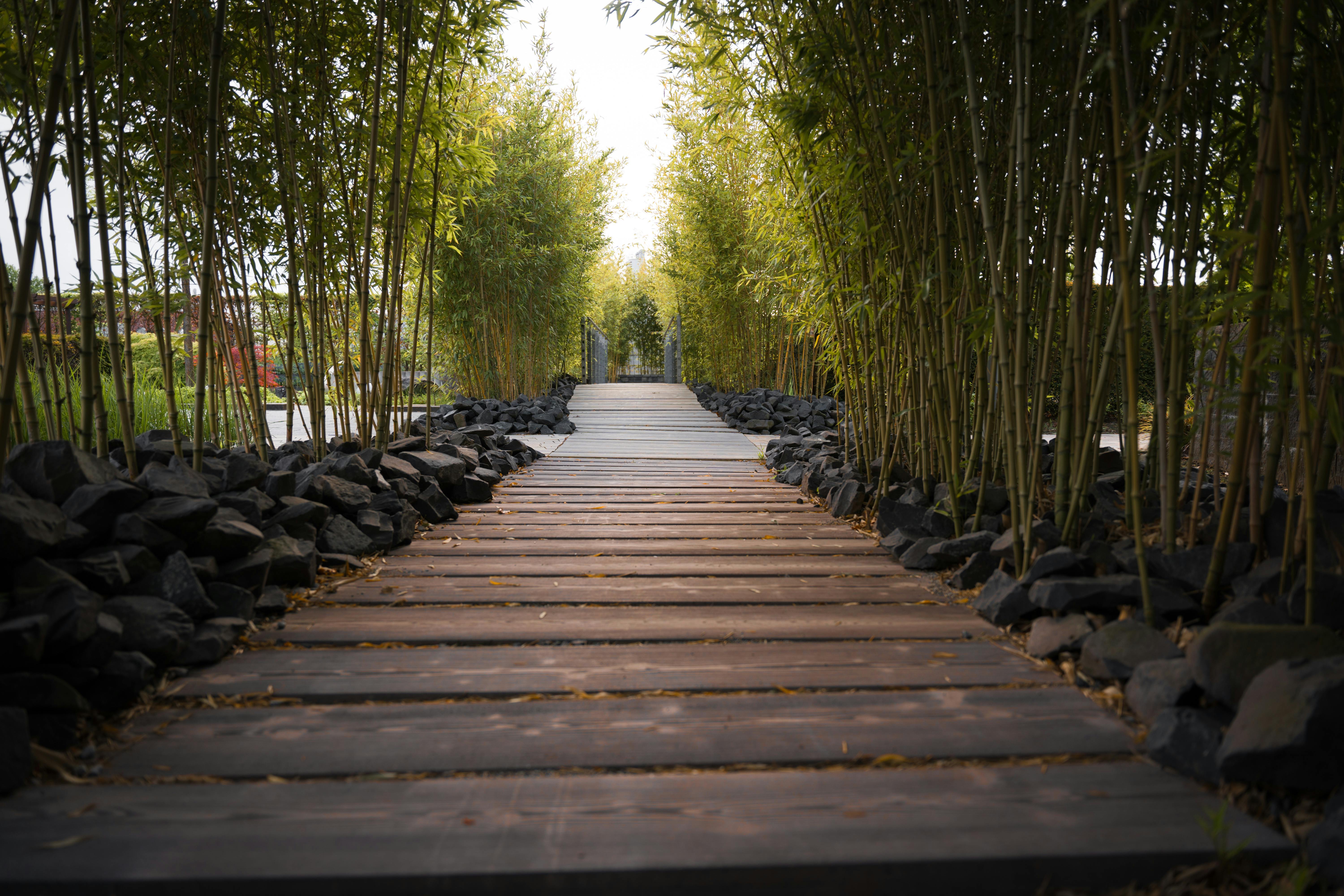 Transform Your Garden at Night with These Glow in the Dark Stones ...
