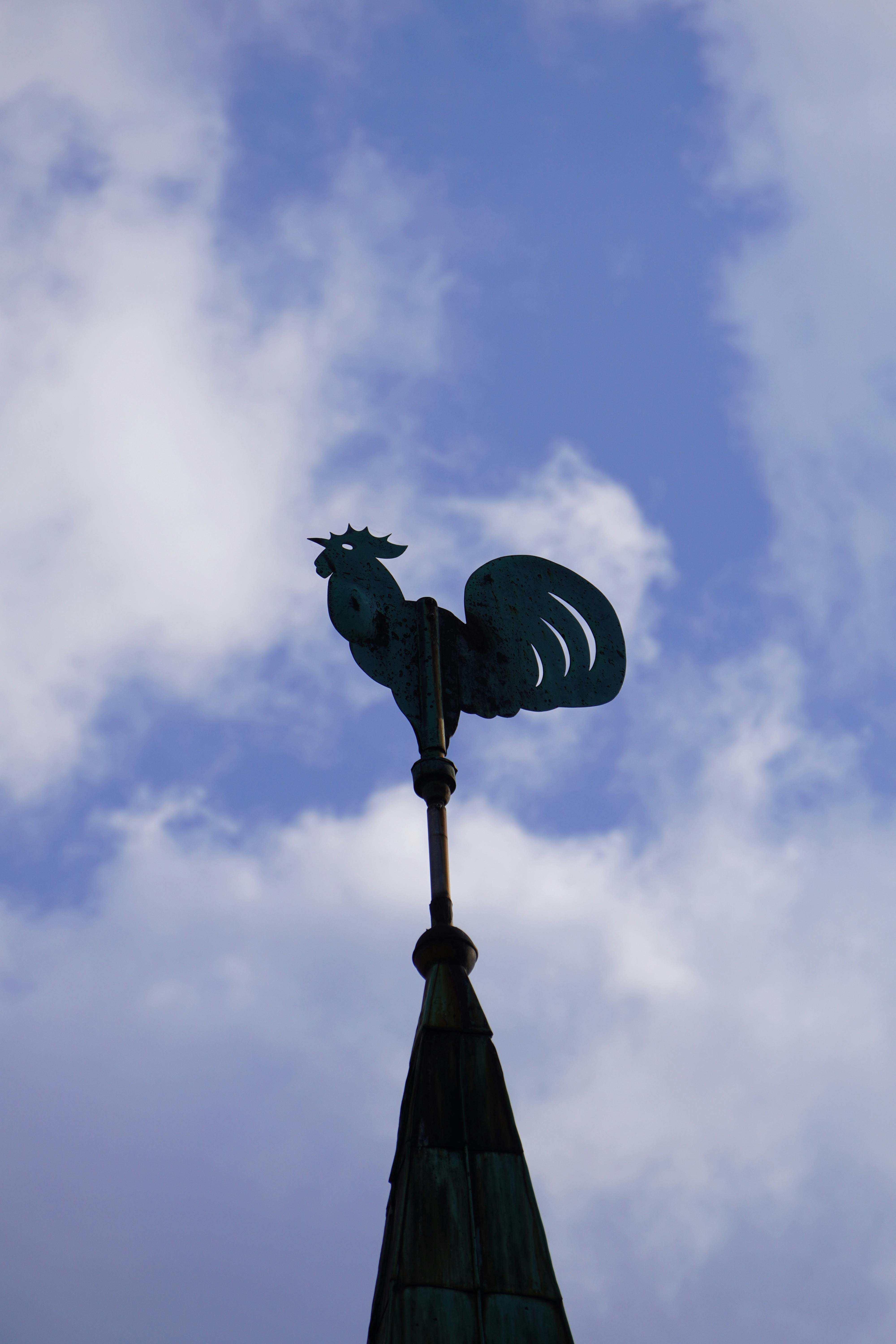 Rooster on top of a church steeple · Free Stock Photo