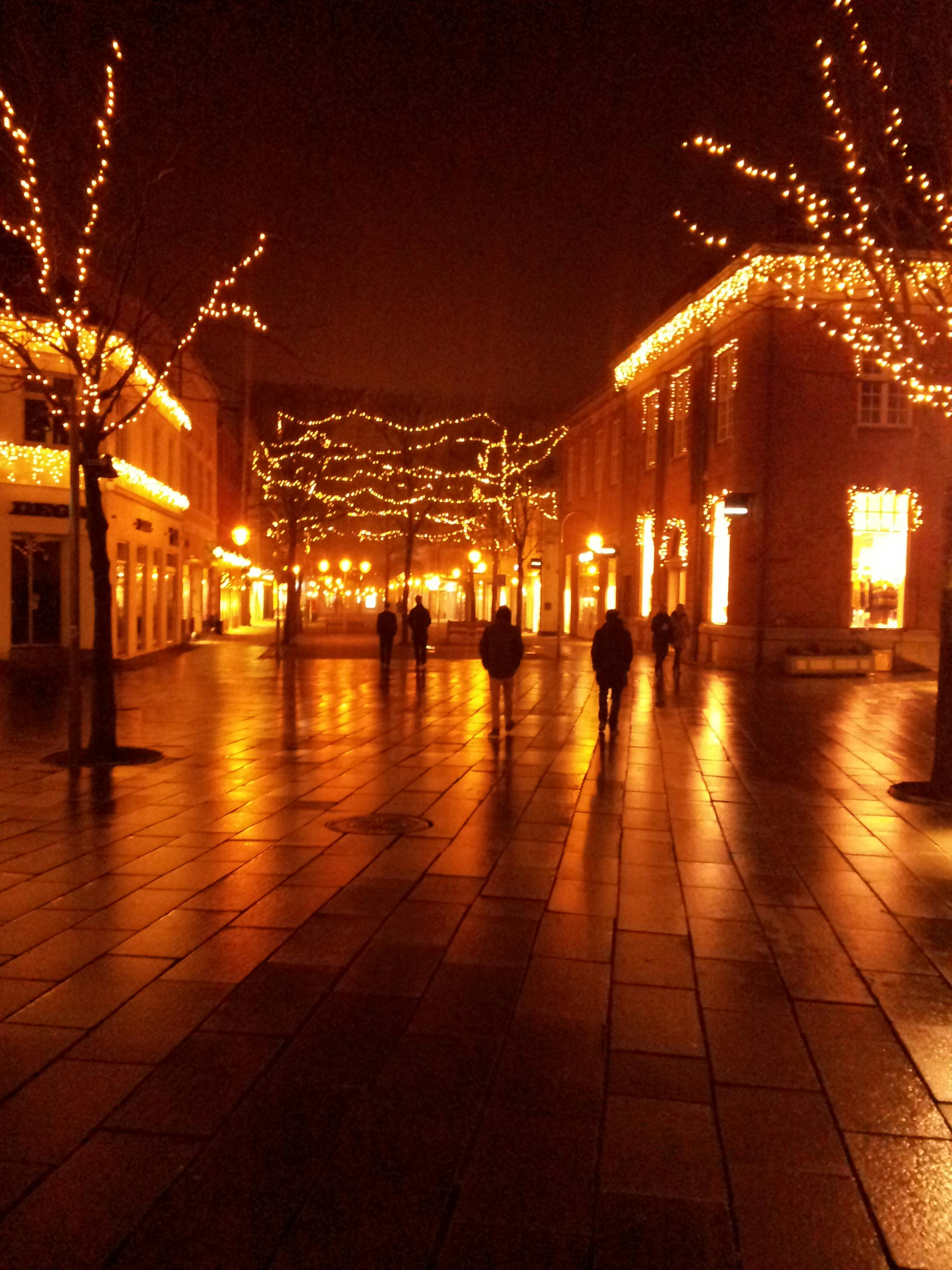 Tanbin Hasnain - Fotografi