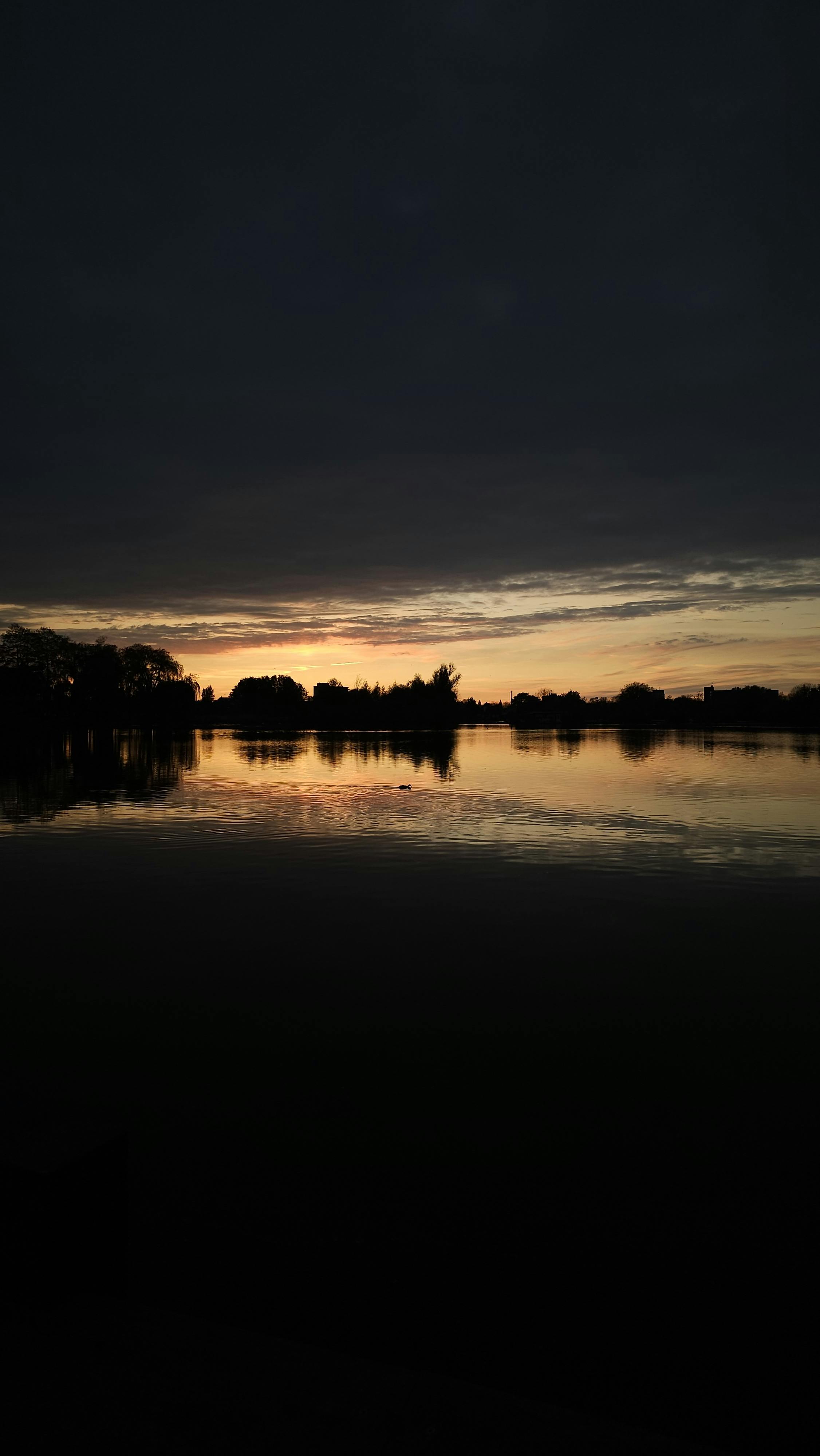 Sven Monster - 사진