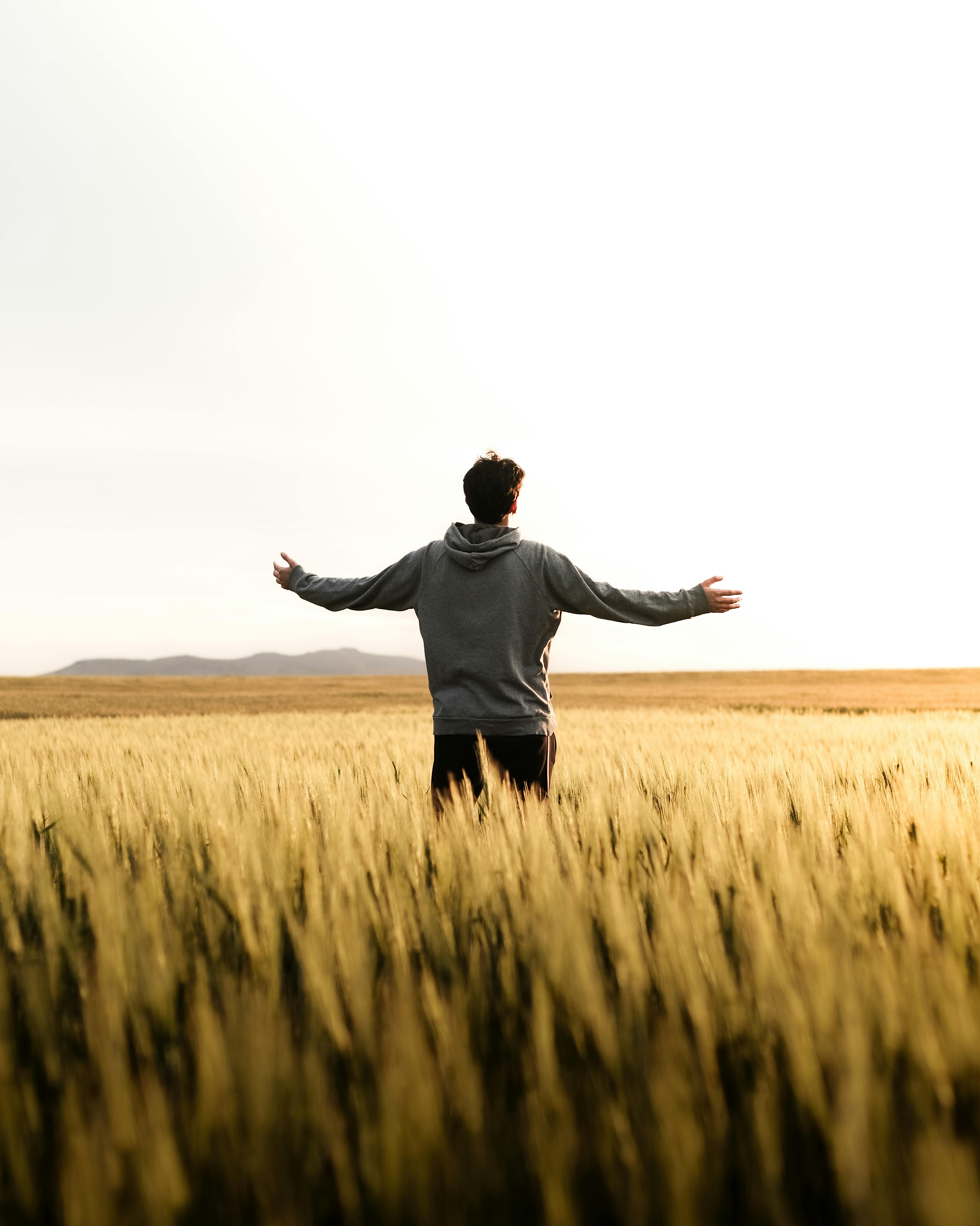 Person In The Field · Free Stock Photo