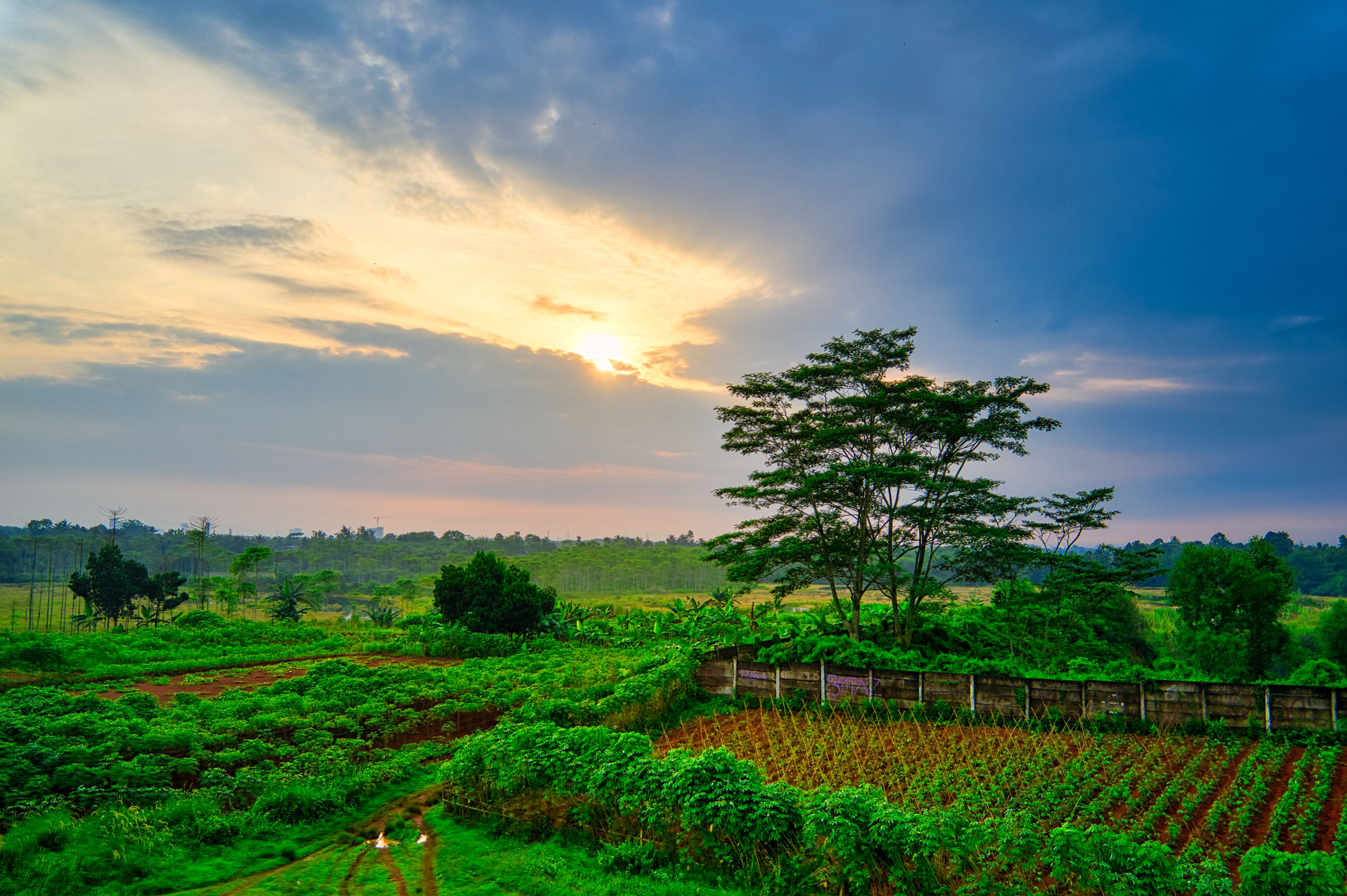 Farm Under Sun Rays · Free Stock Photo
