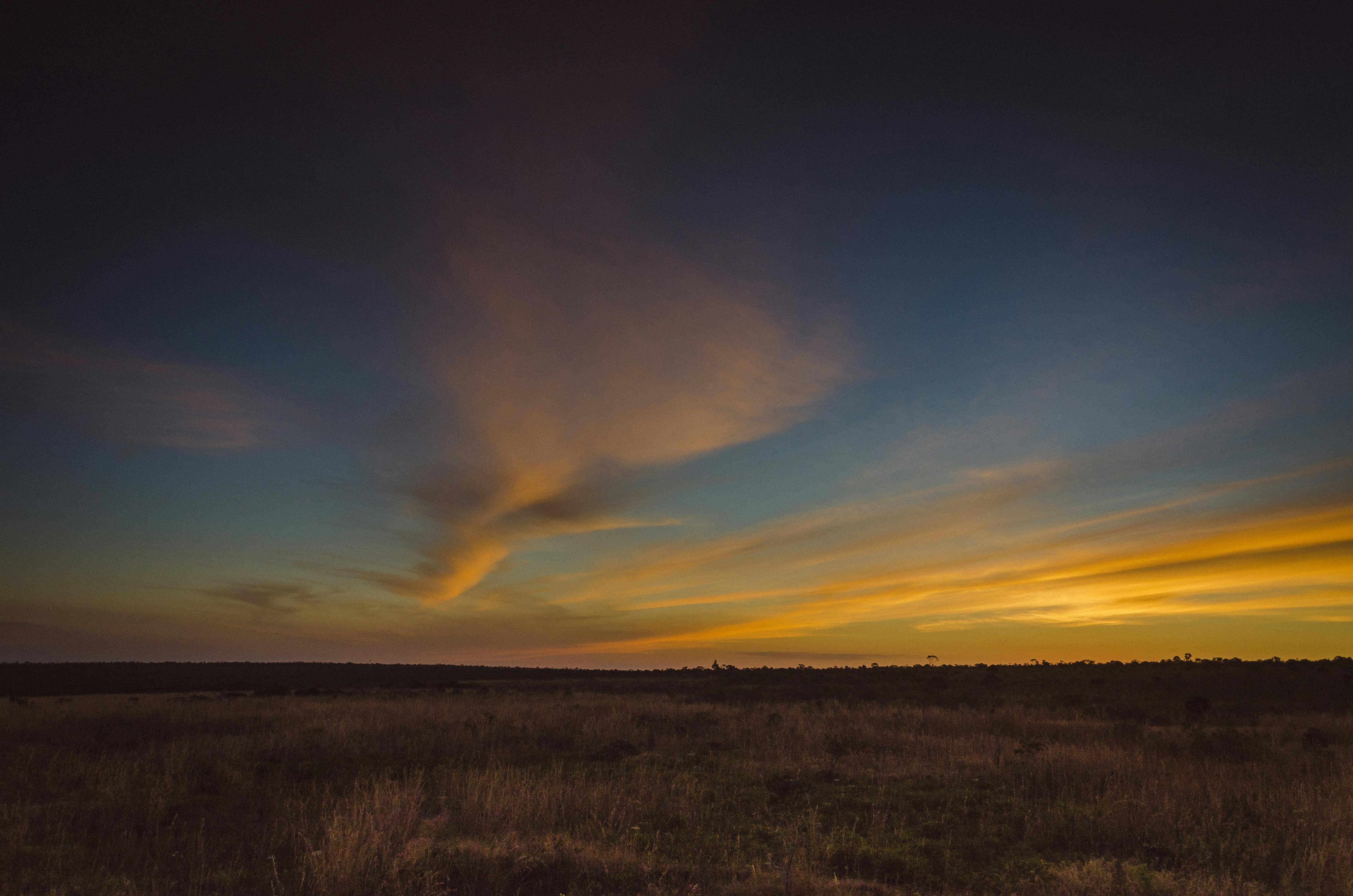 Field During Sunset · Free Stock Photo